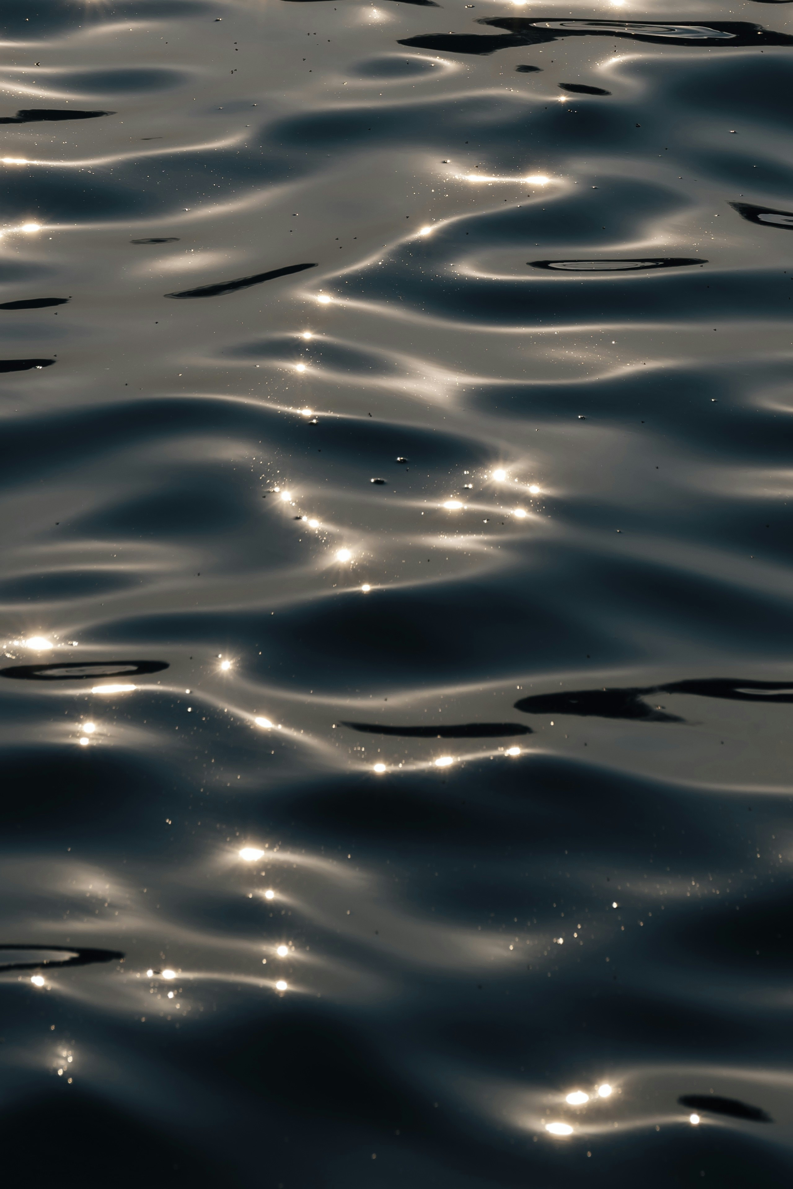 Sun-kissed ripples sweep across a dark water surface, scattered with bright specular highlights.