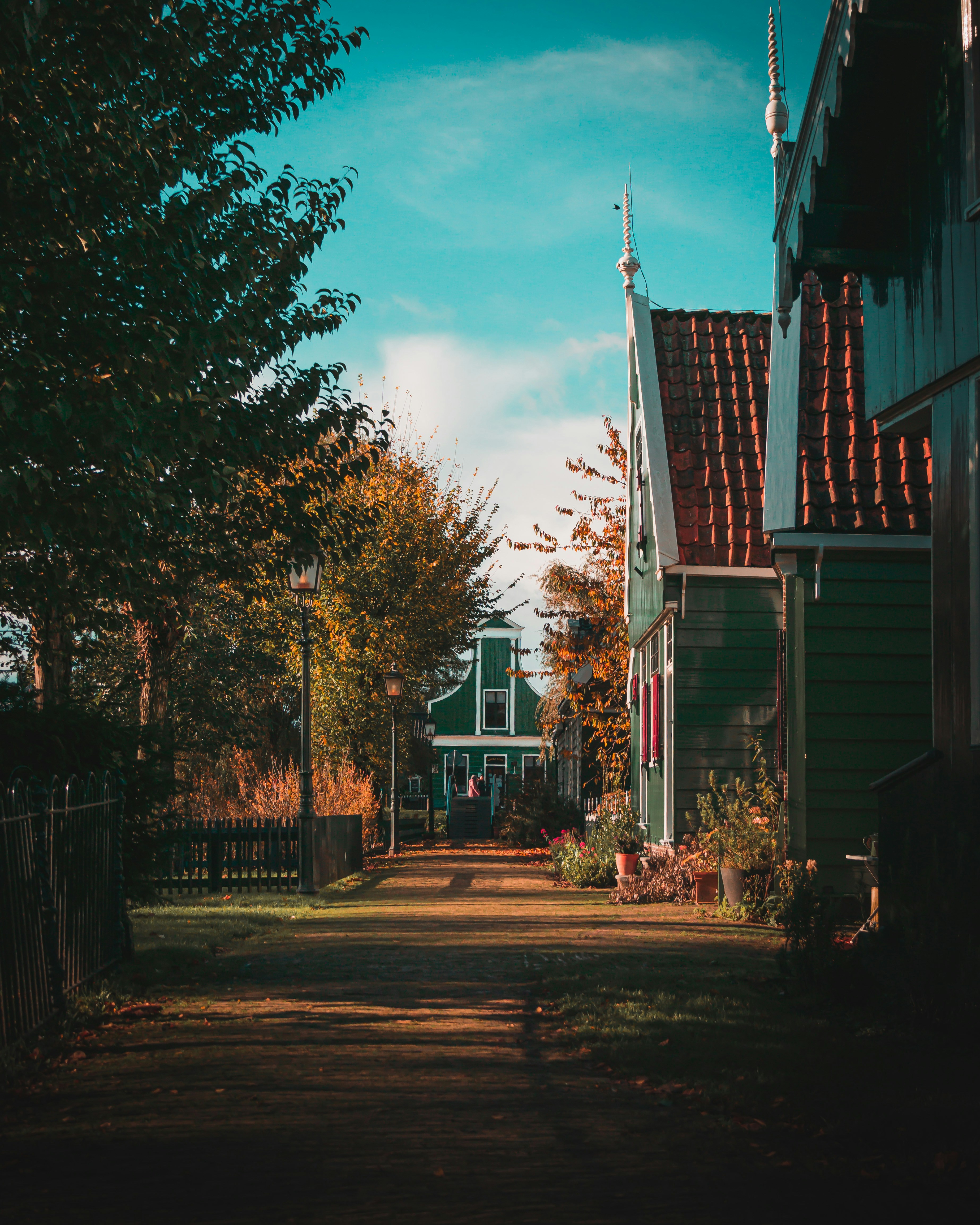 Photo by Adrian S. with Sony Alpha 6000