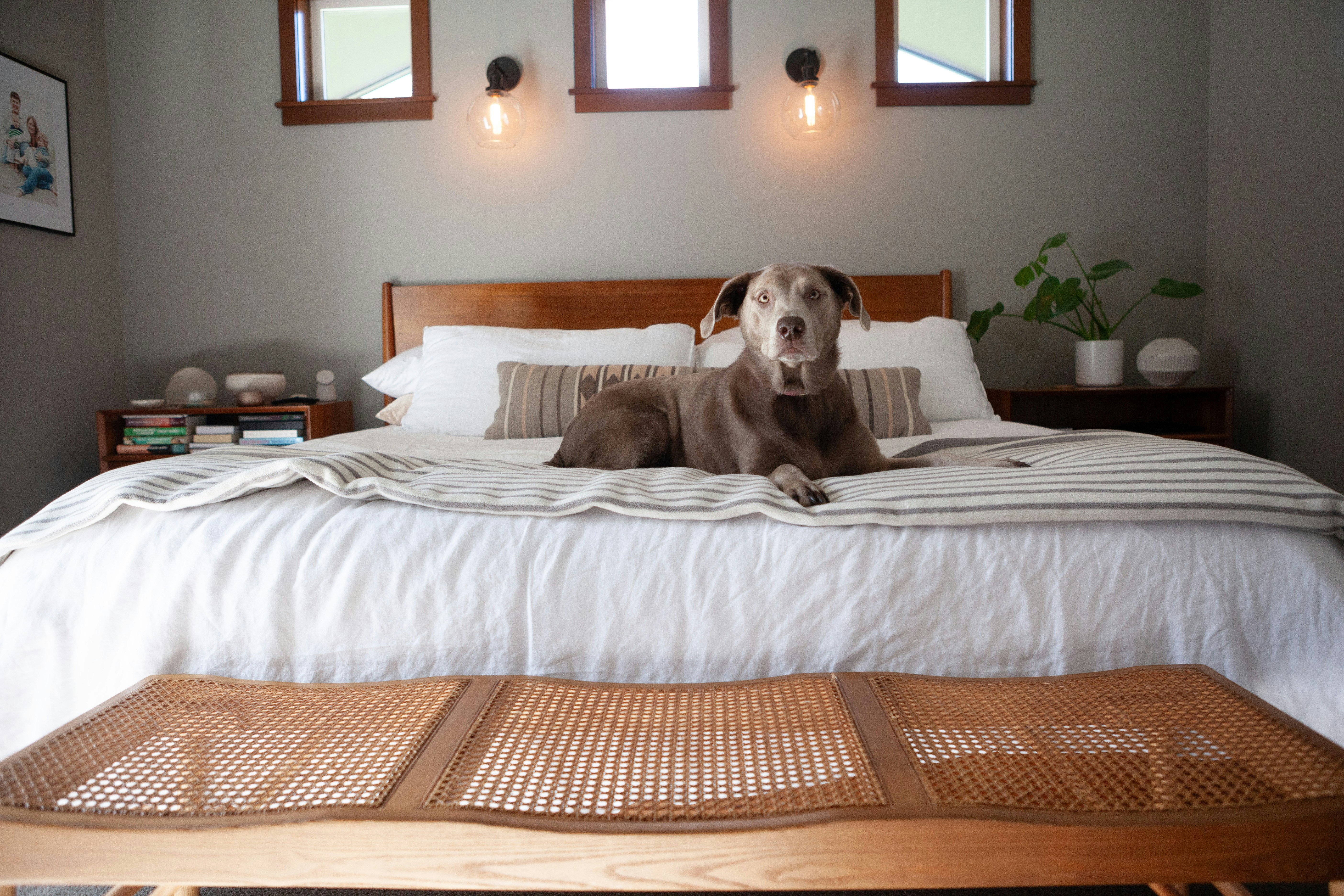 Lulled by Light: A Quiet Moment with a Bedside Companion