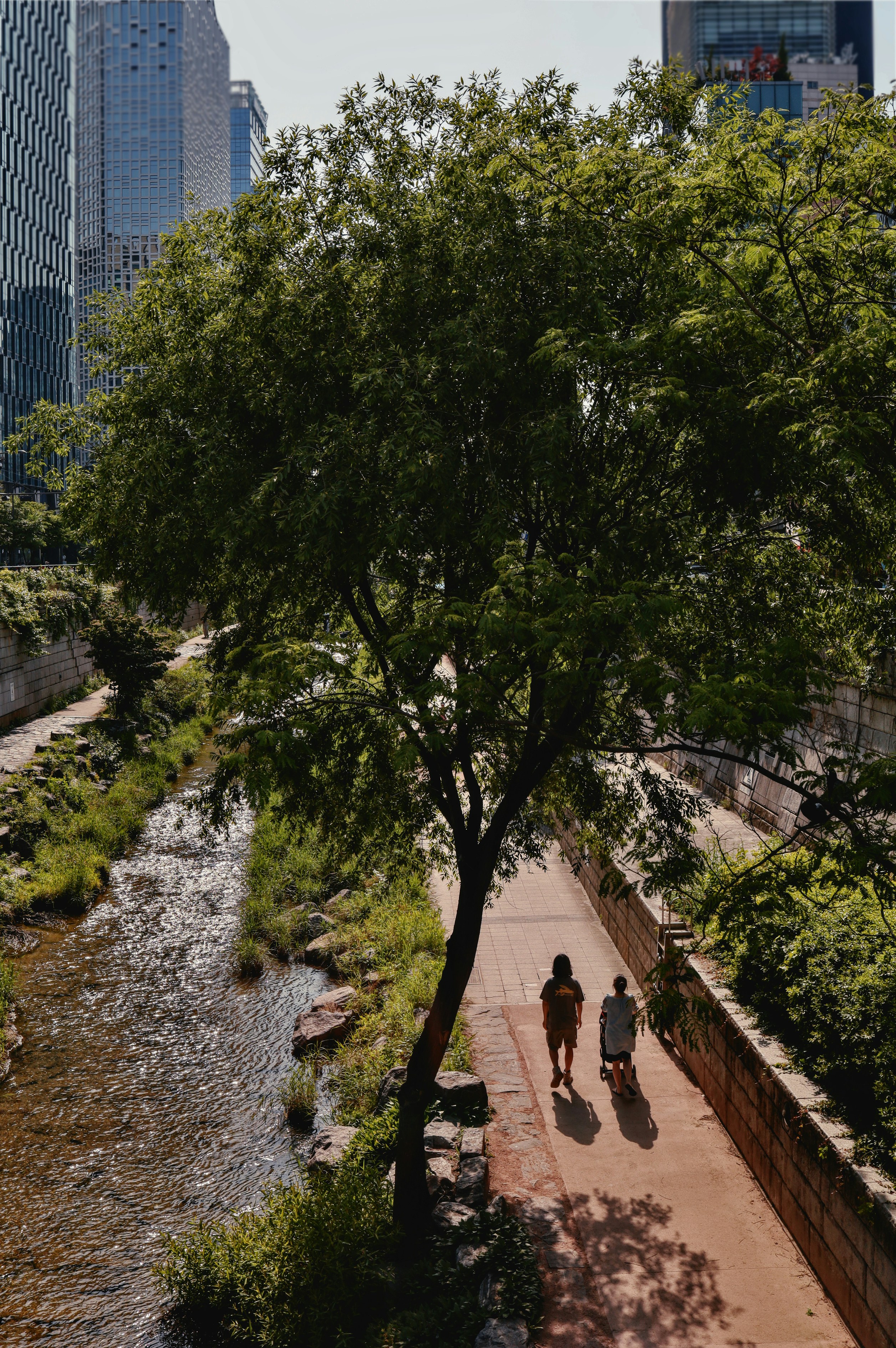 People walk along a river path in a city. photo – Free Wallpaper Image ...