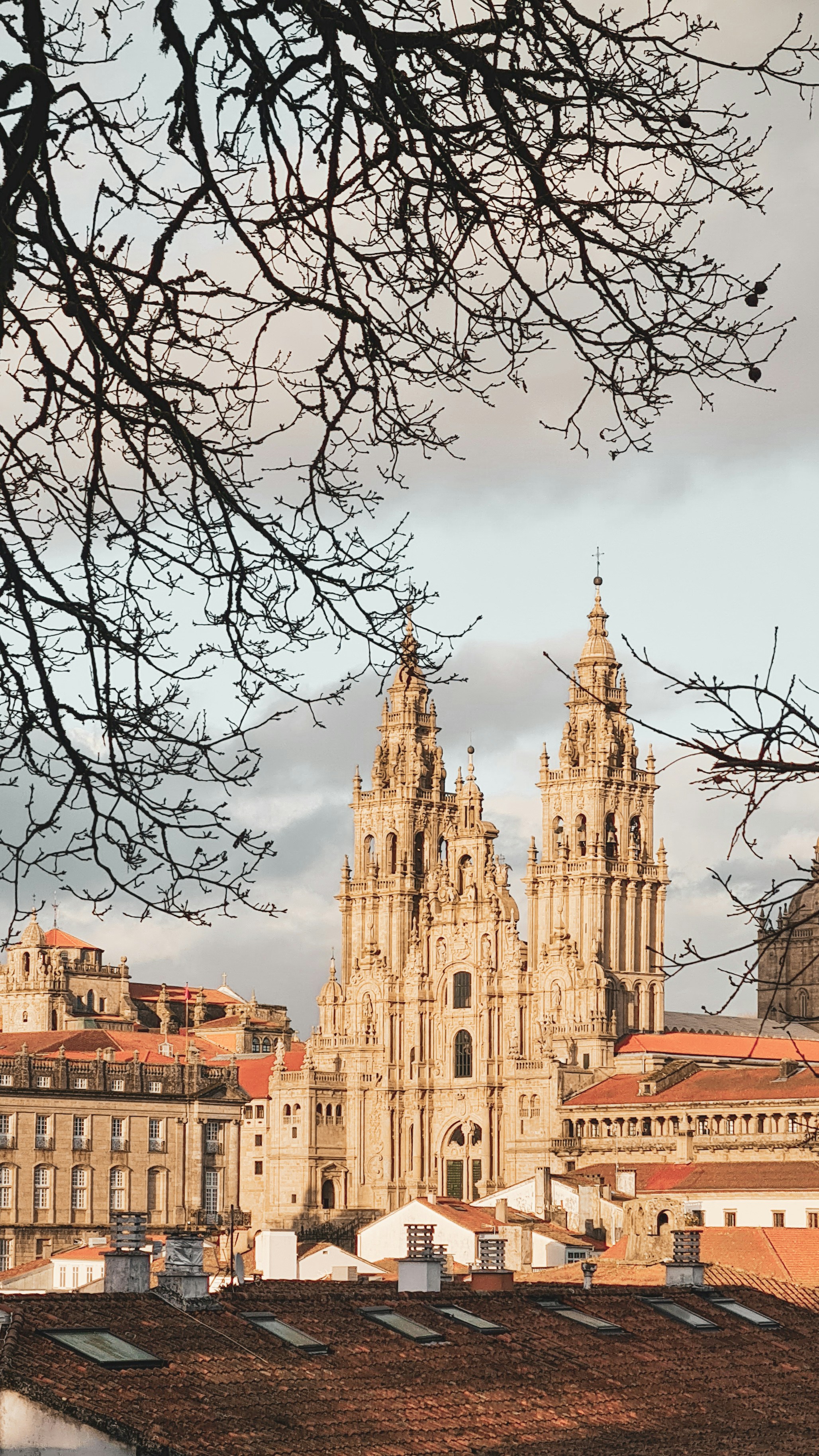 Photograph captures a Gothic cathedral with twin spires rising above red-tiled rooftops, framed by bare tree branches.