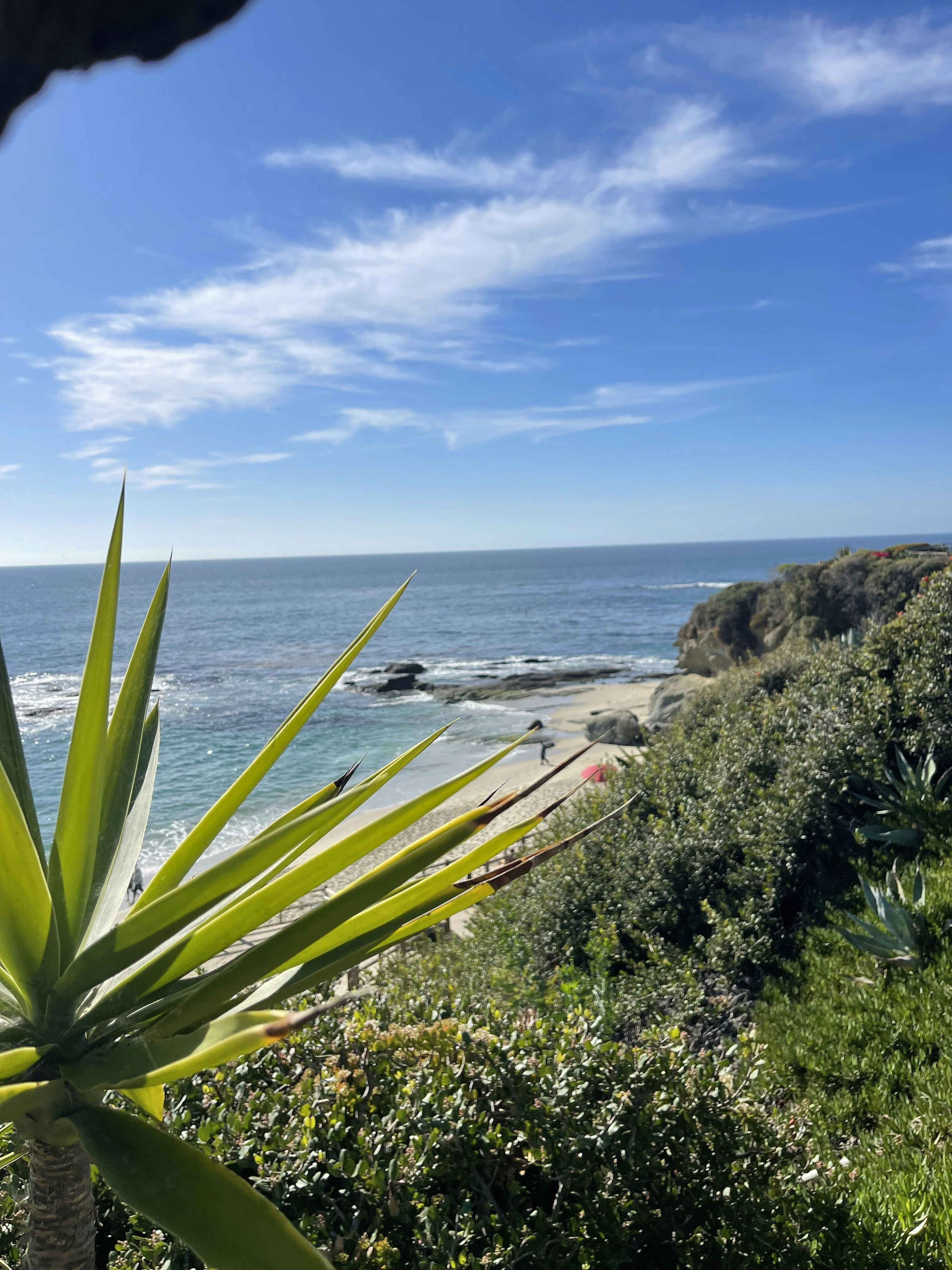 A beautiful beach scene under a bright blue sky. photo – Free Palm ...