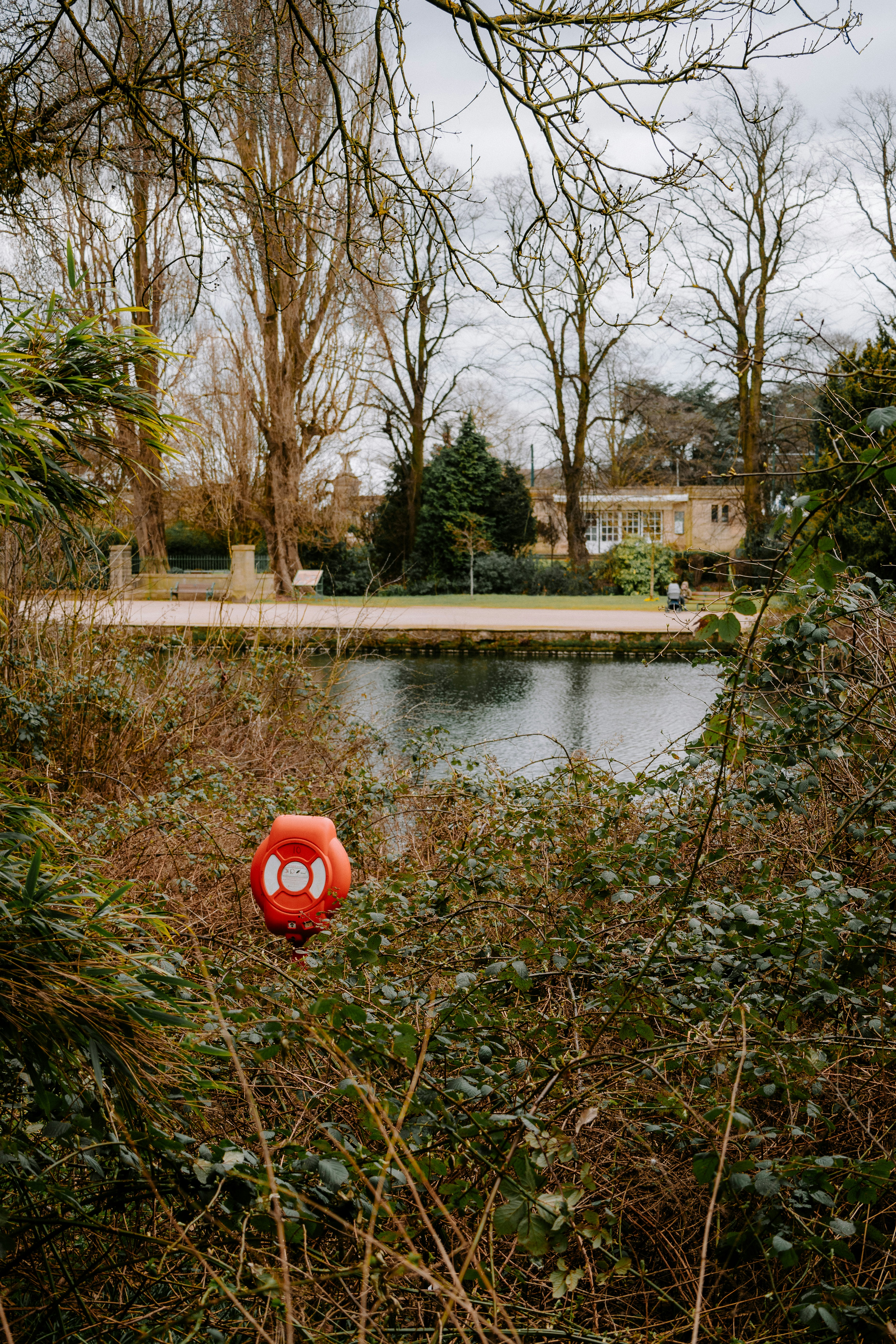 Crimson Buoy in a Winter Park: Quiet Pond Framed by Bare Trees