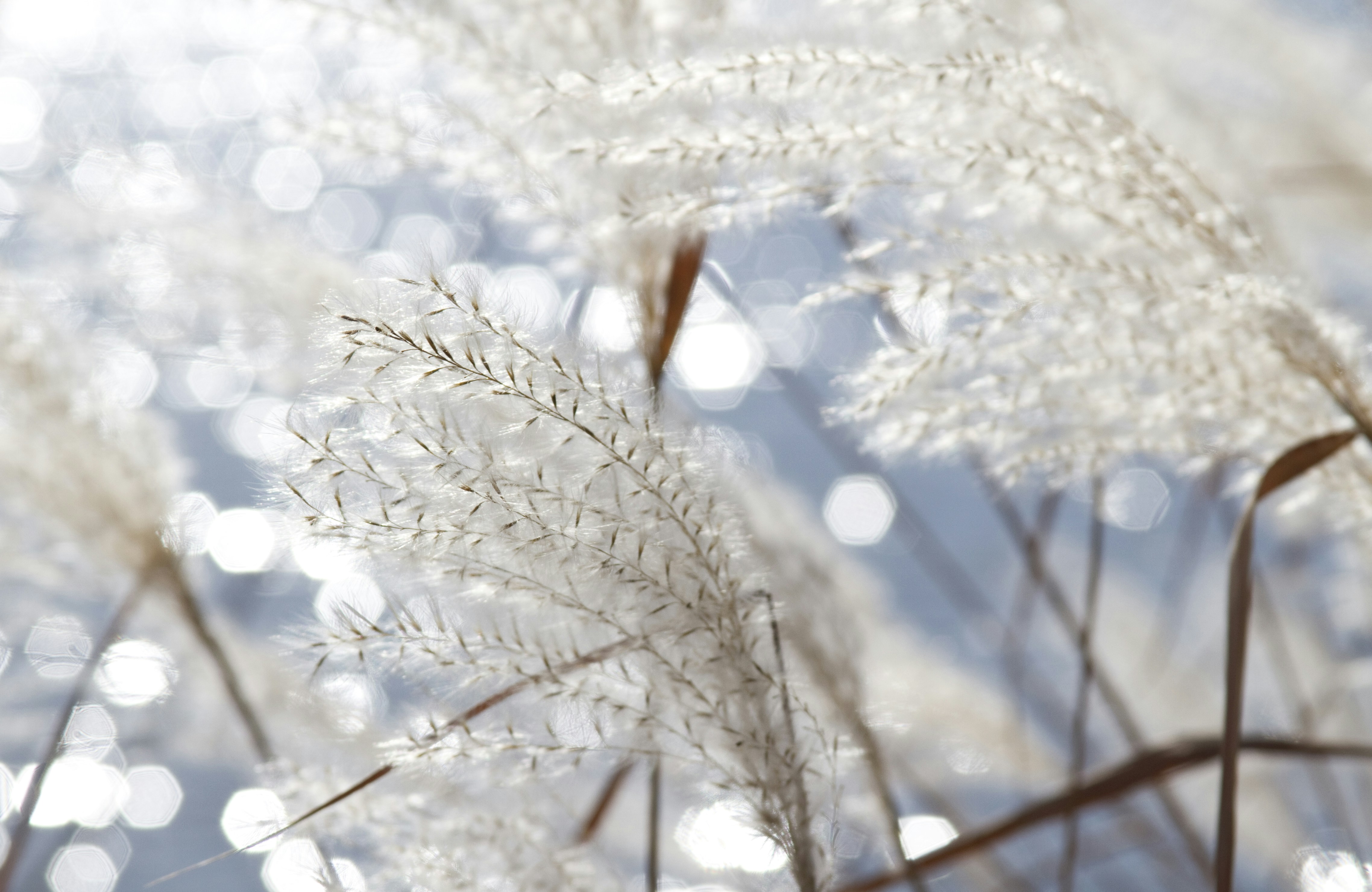 A.M. Albaugh (@amalbaugh) | Communauté photos Unsplash