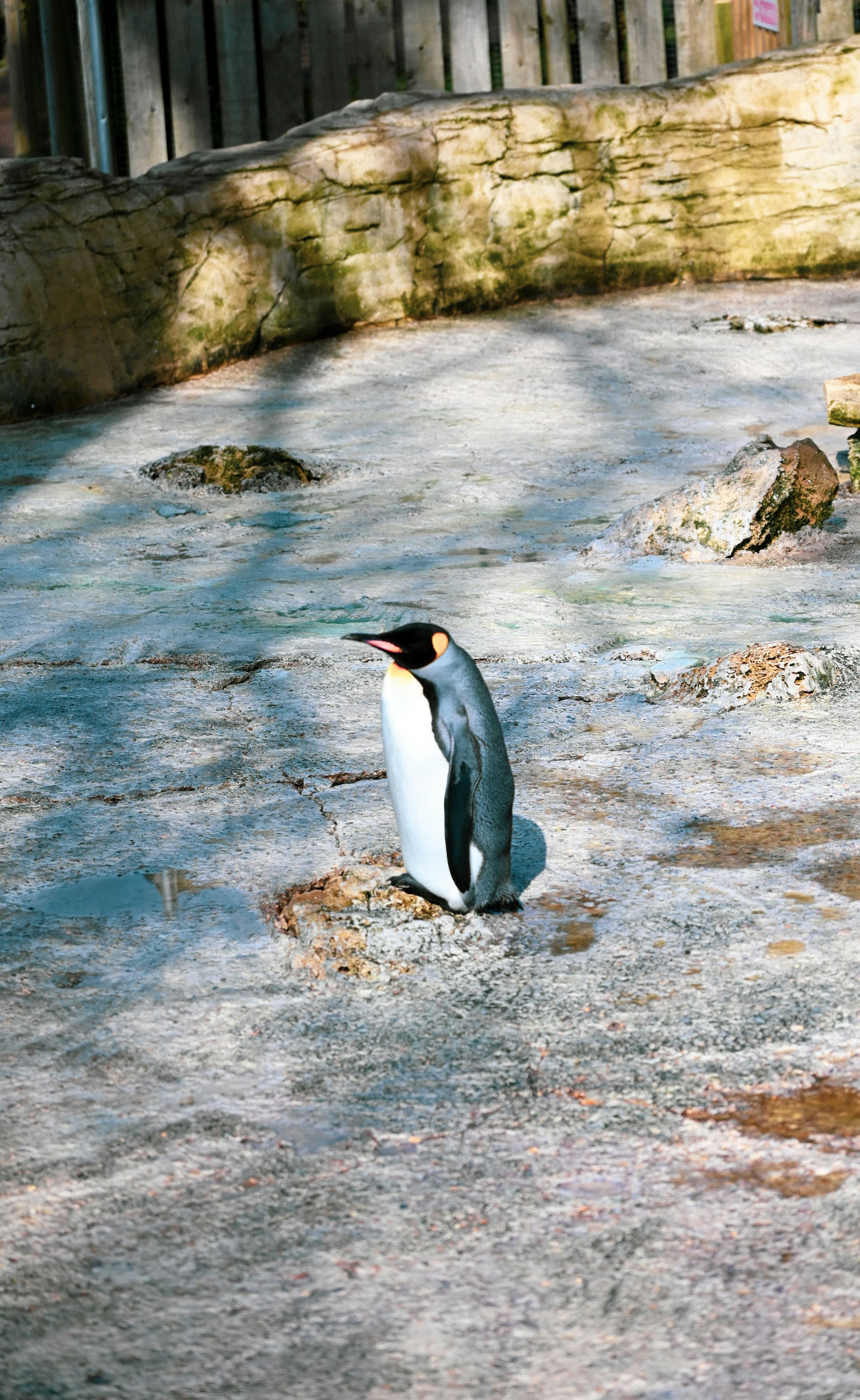 Photo by Nik with Nikon Z6