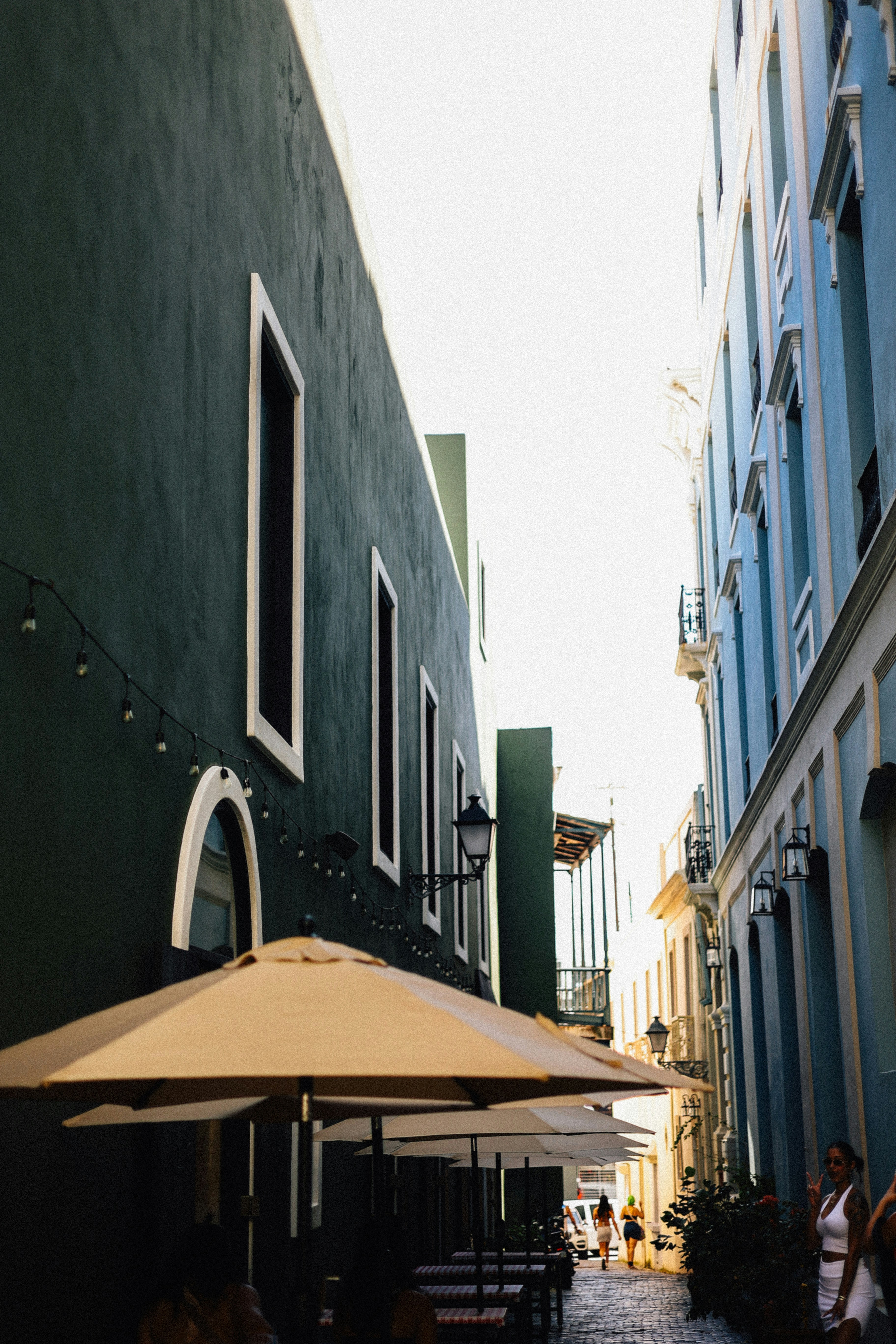 Whispers of Color in a Sunlit Alleyway