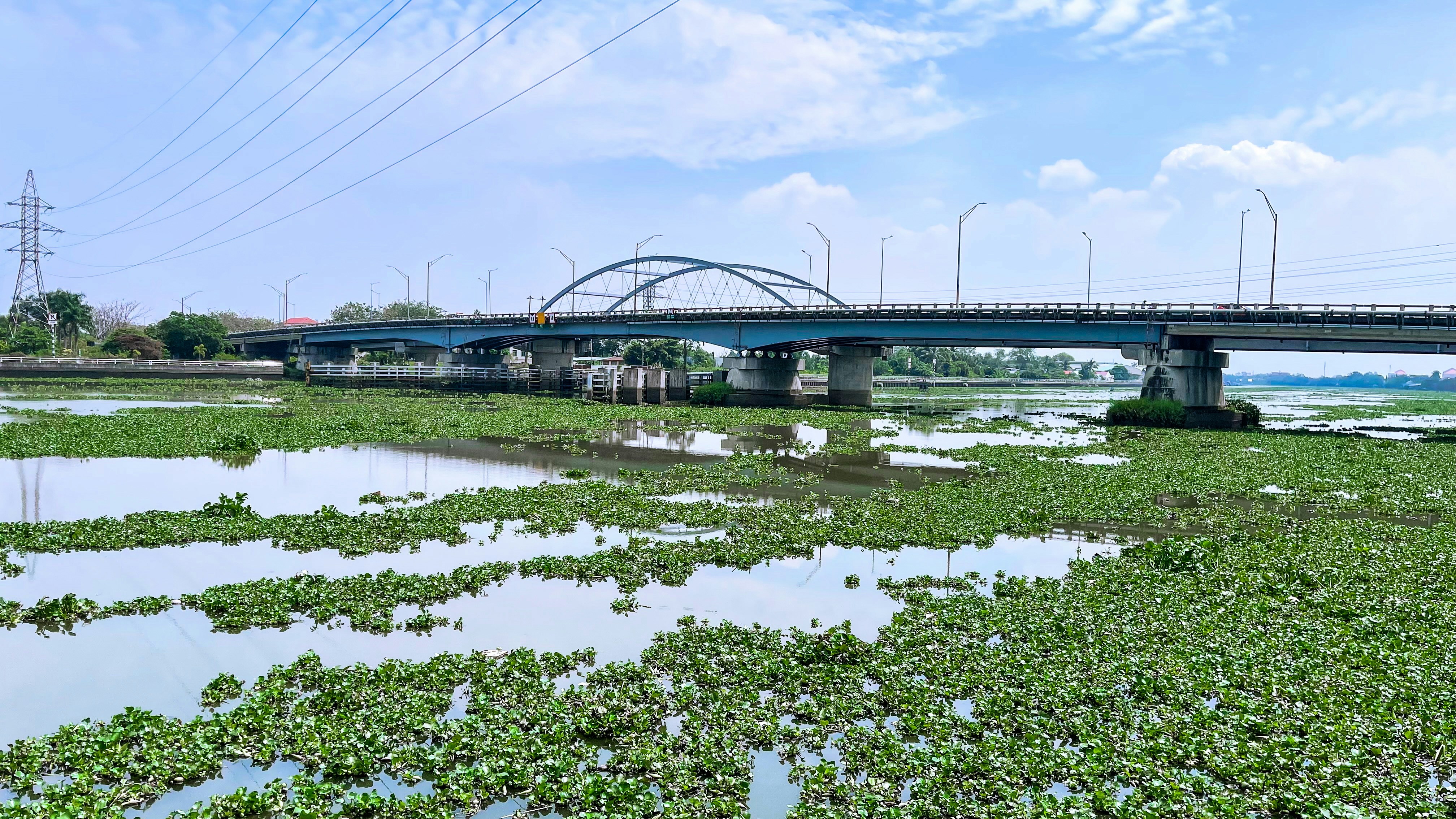 Arched Bridge Framing a Marshy Waterway