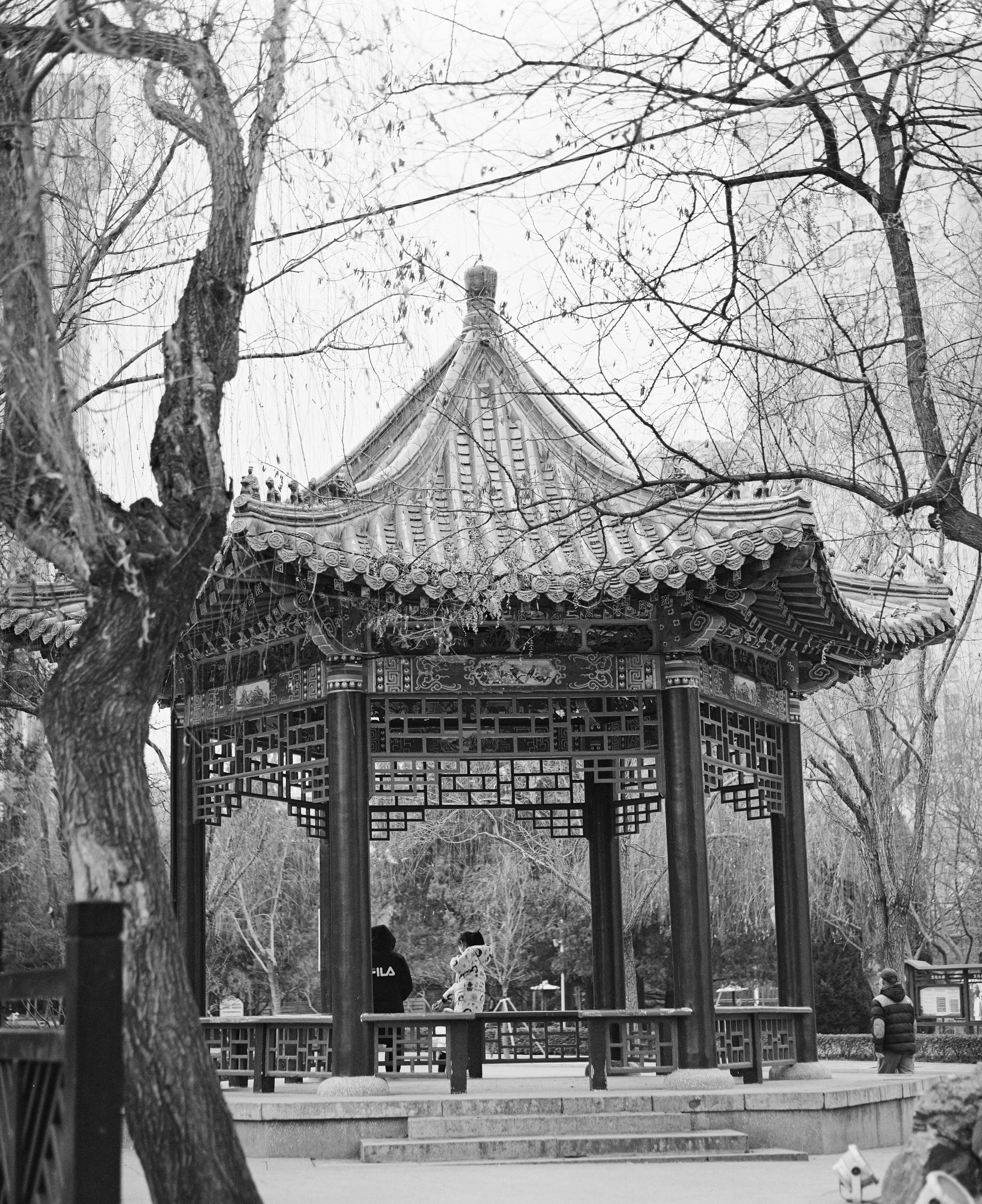 A beautiful pavilion stands amongst trees. photo – Free Building Image ...