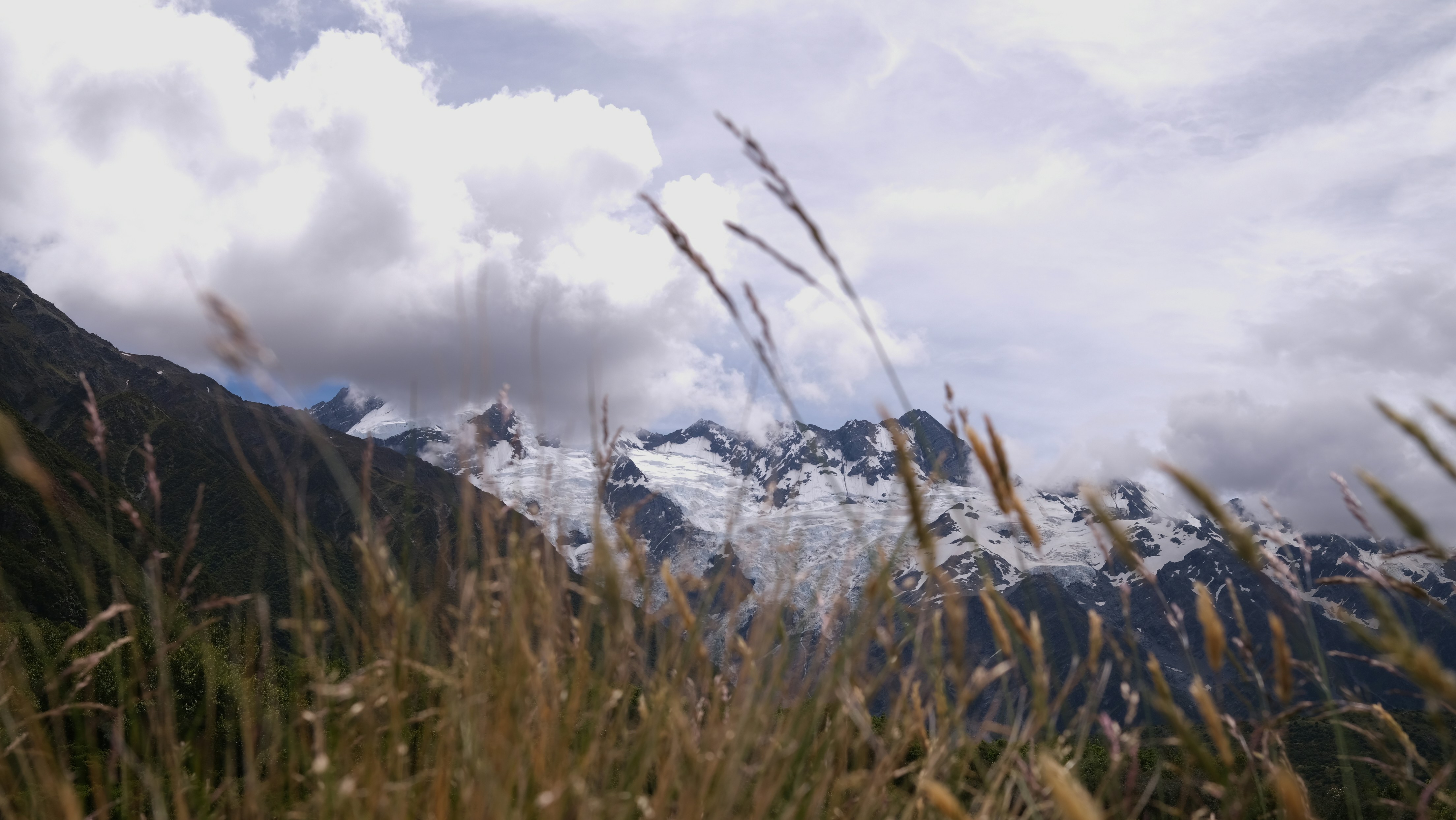 Tall grass sways in front of a snow-capped mountain under a cloudy sky.