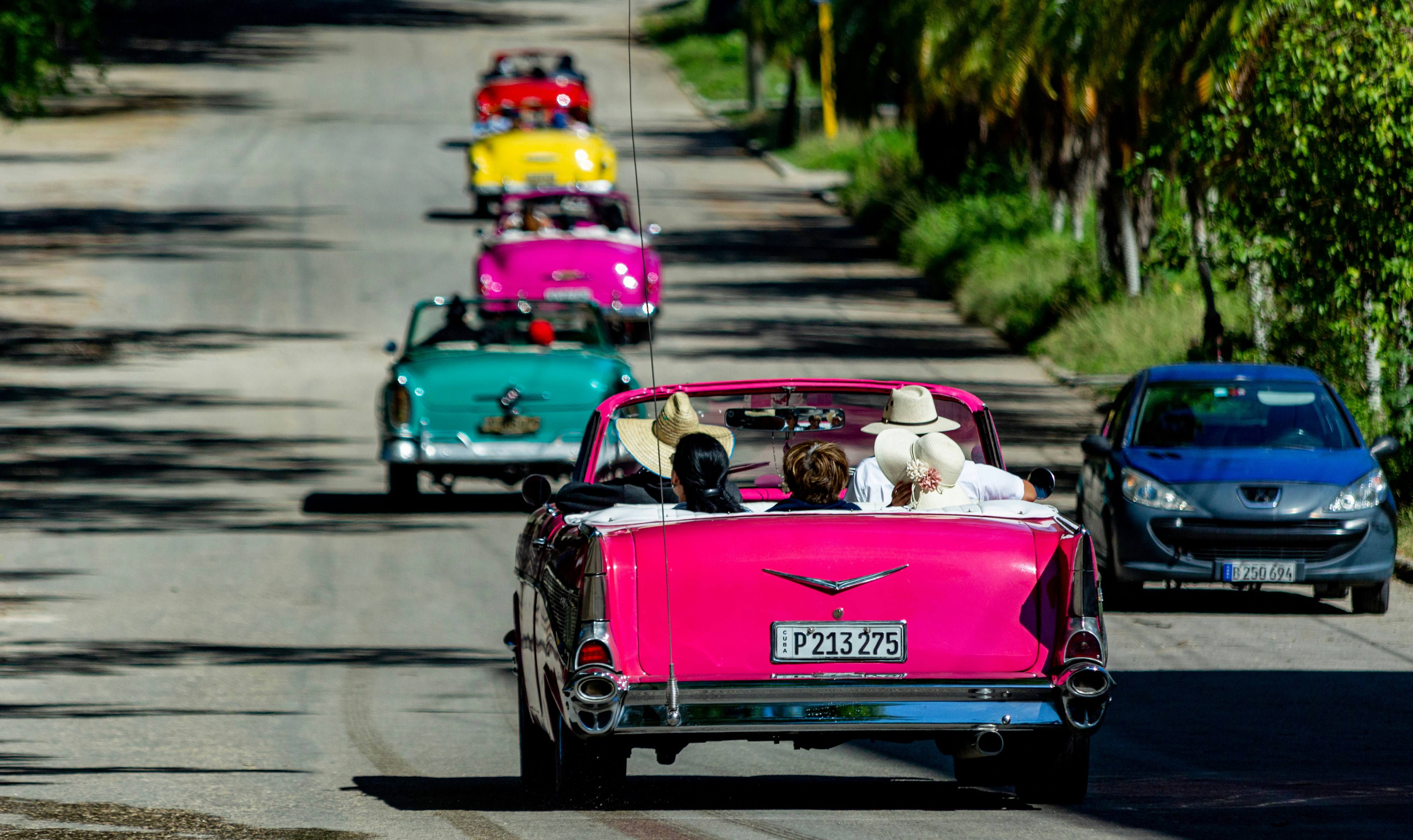 Hot Pink Convertible Leads a Colorful Vintage Car Parade