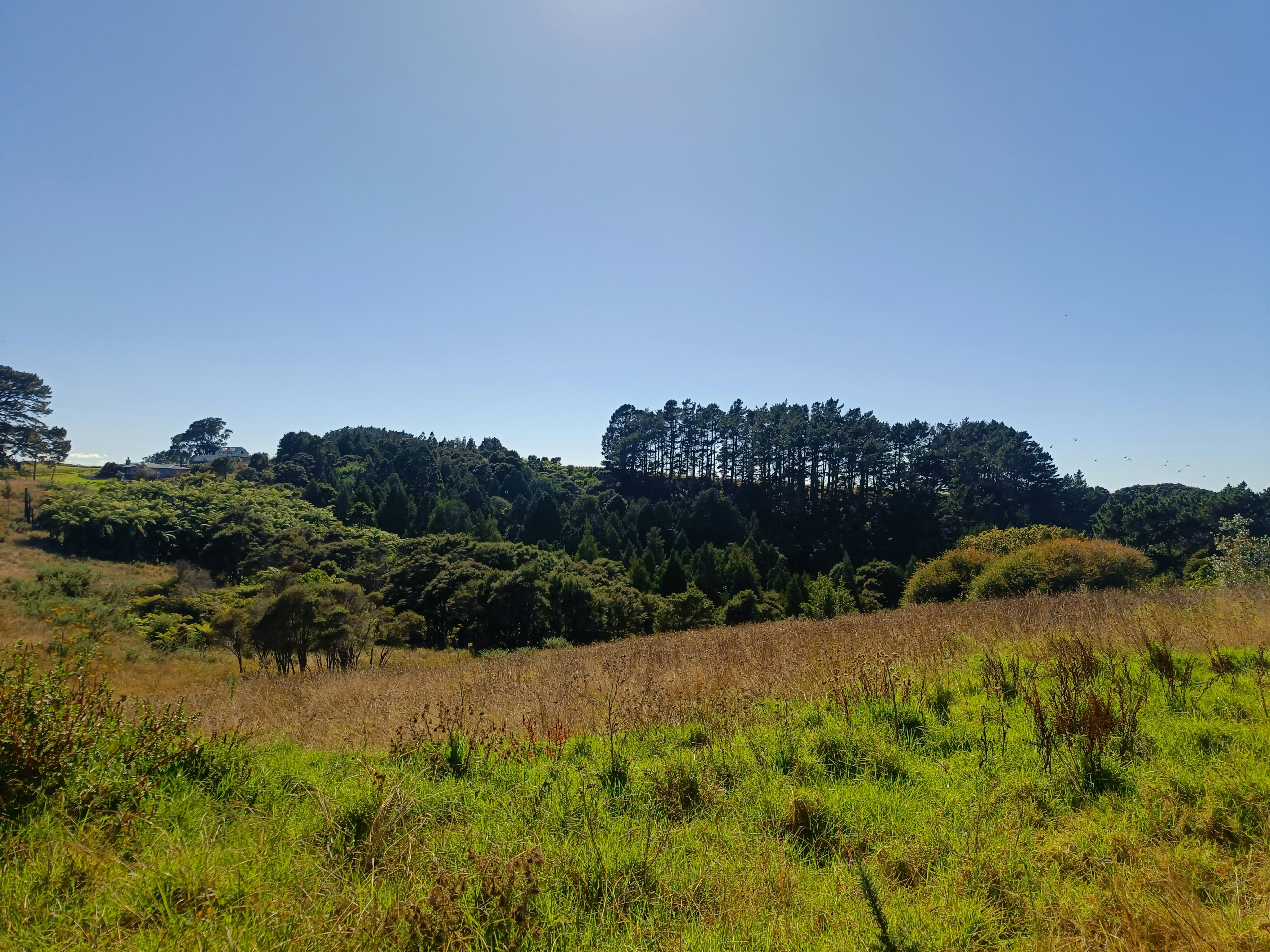 A beautiful green hillside under a bright sun. photo – Free Trees Image ...