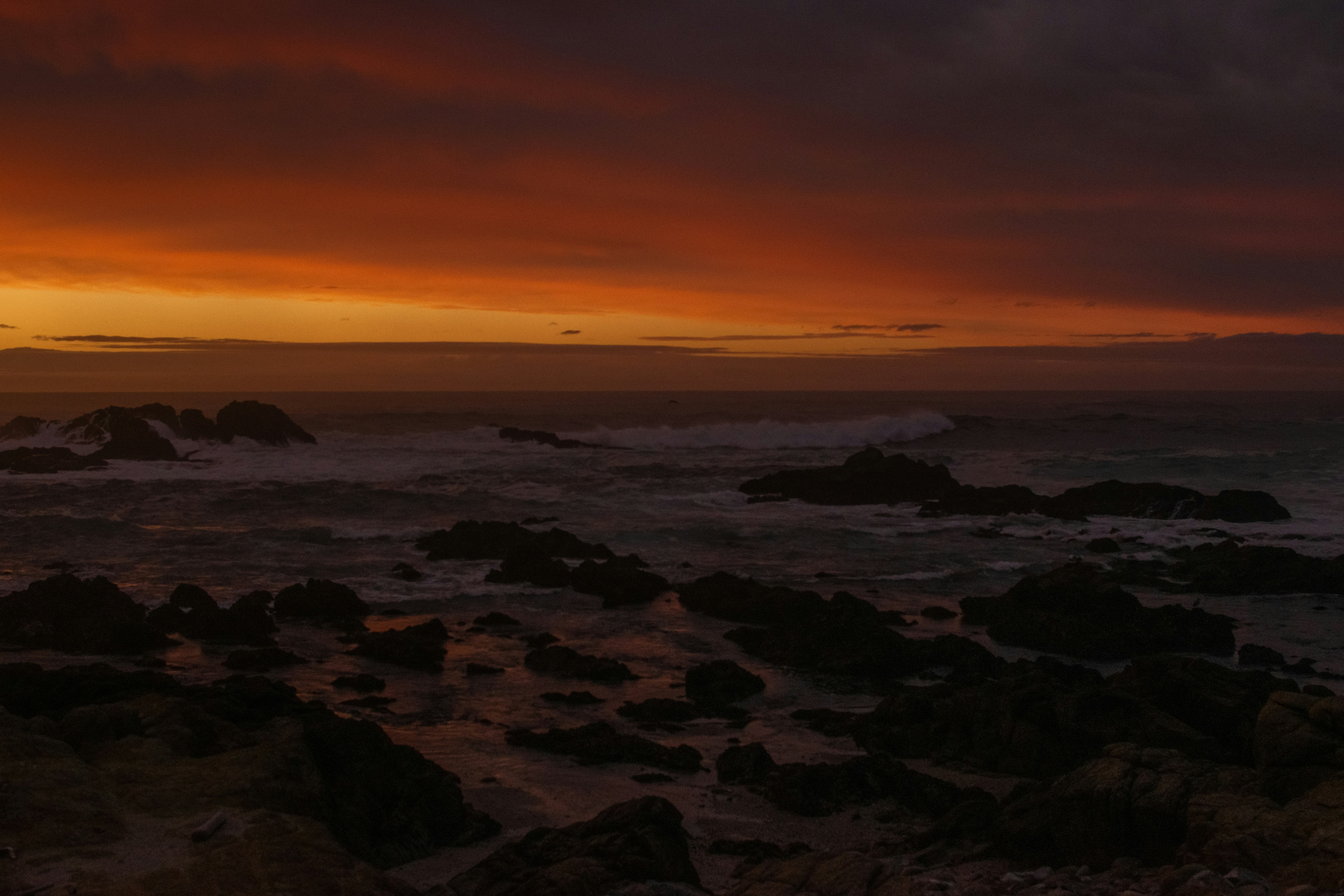 Photo by Manya Krishnaswamy with Nikon D5300