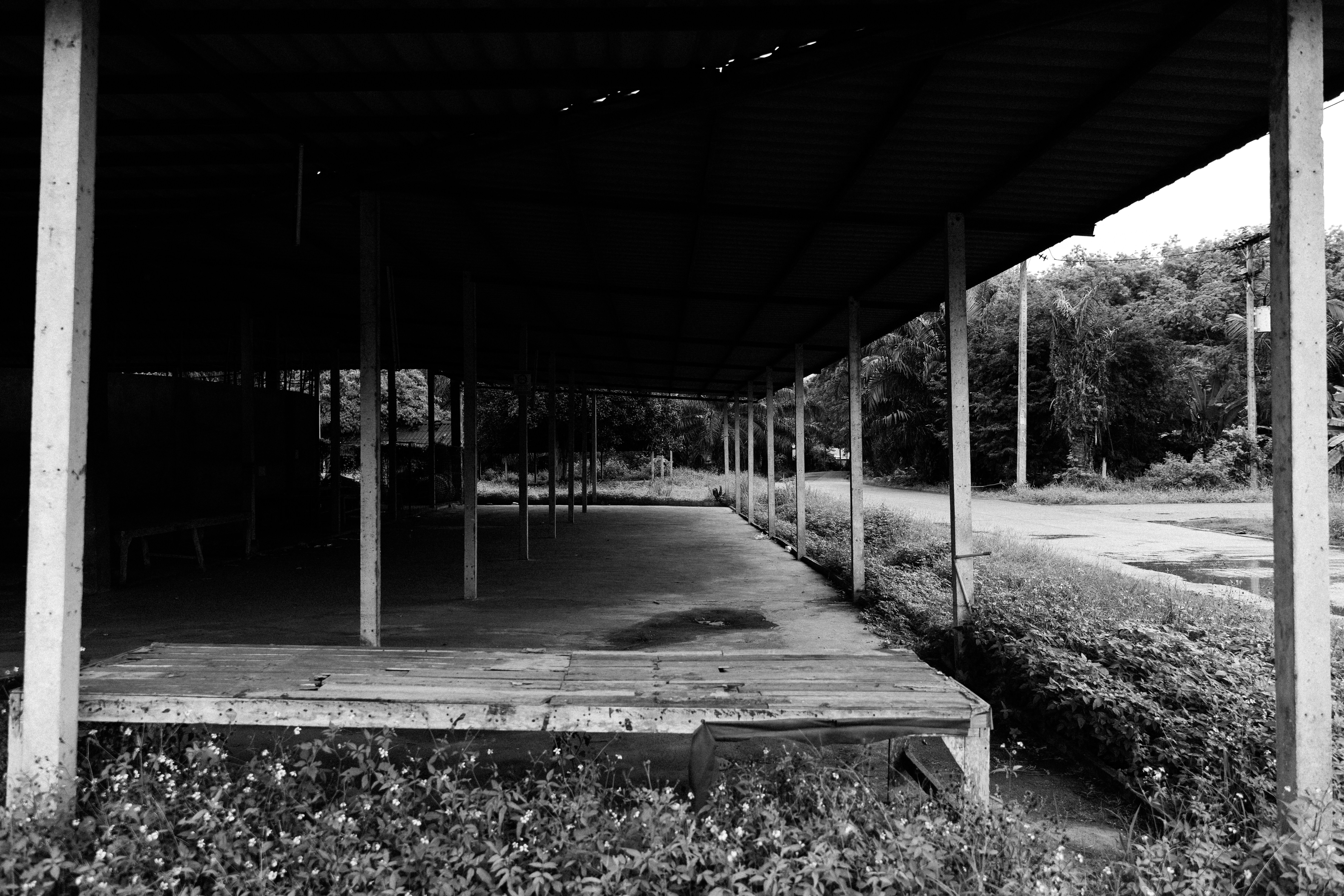 Open-air structure with overgrown vegetation and a weathered platform under a corrugated roof.