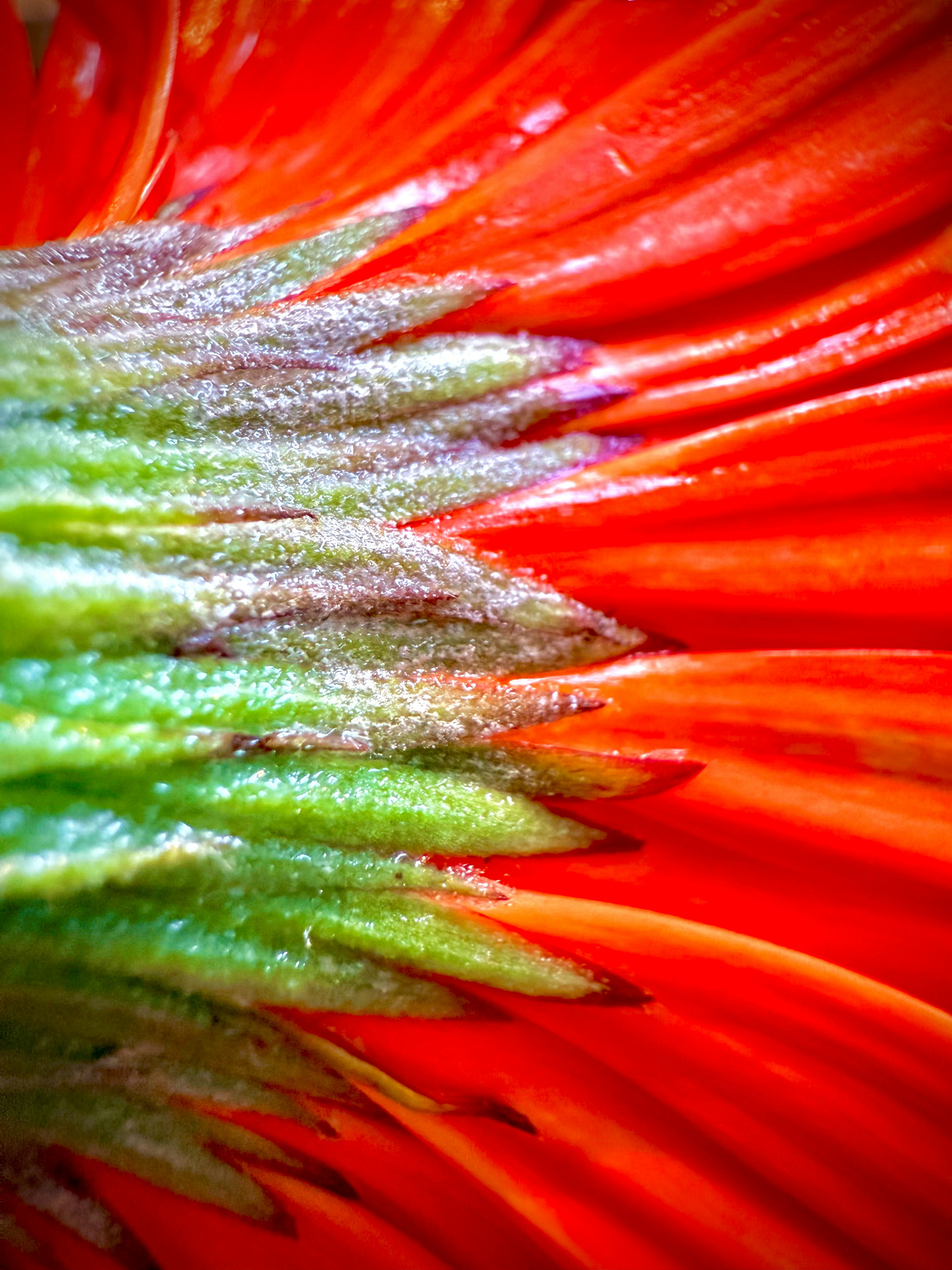 Photo by Vicky with Apple iPhone 16 Pro