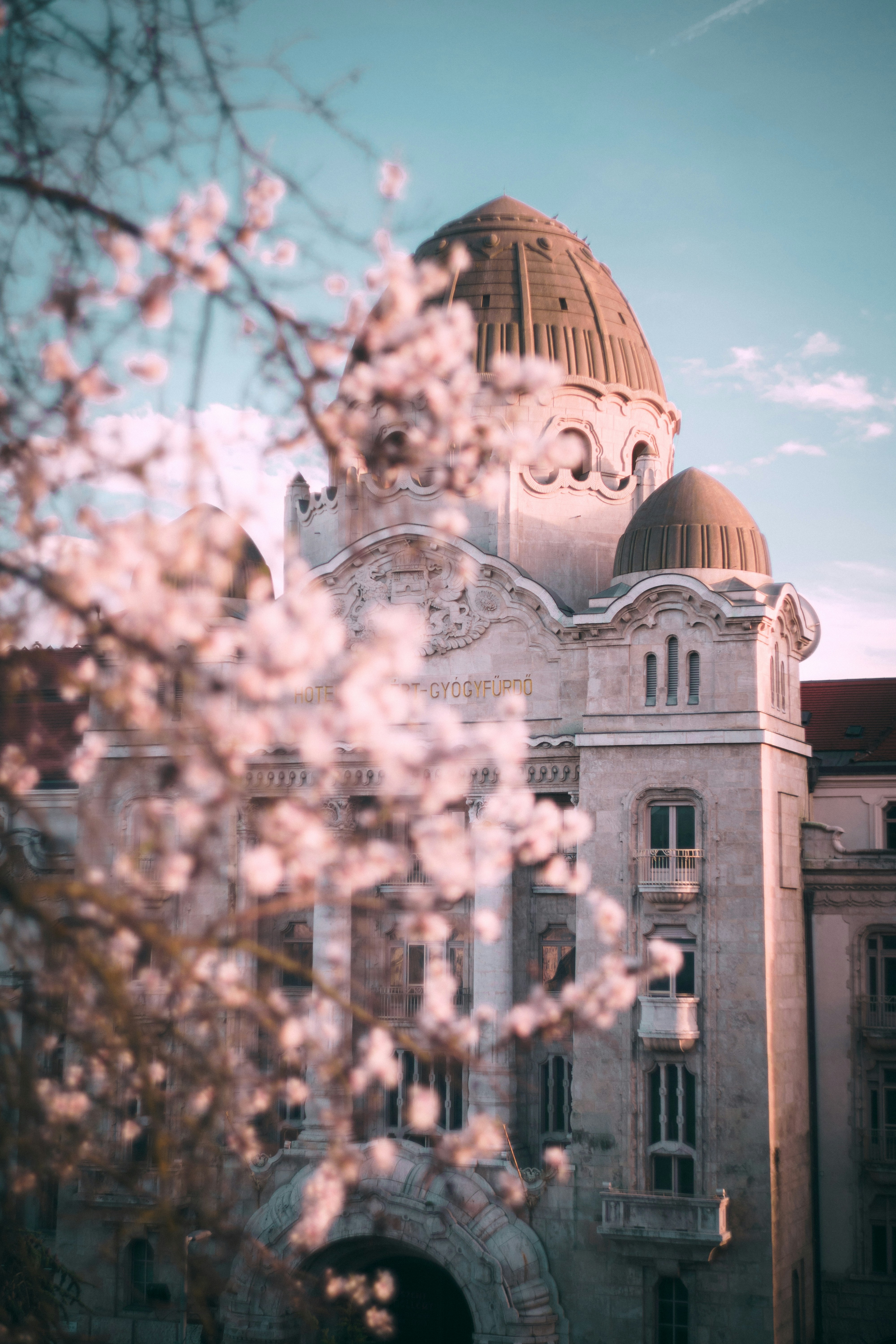 Blossoms Framing a Historic Dome