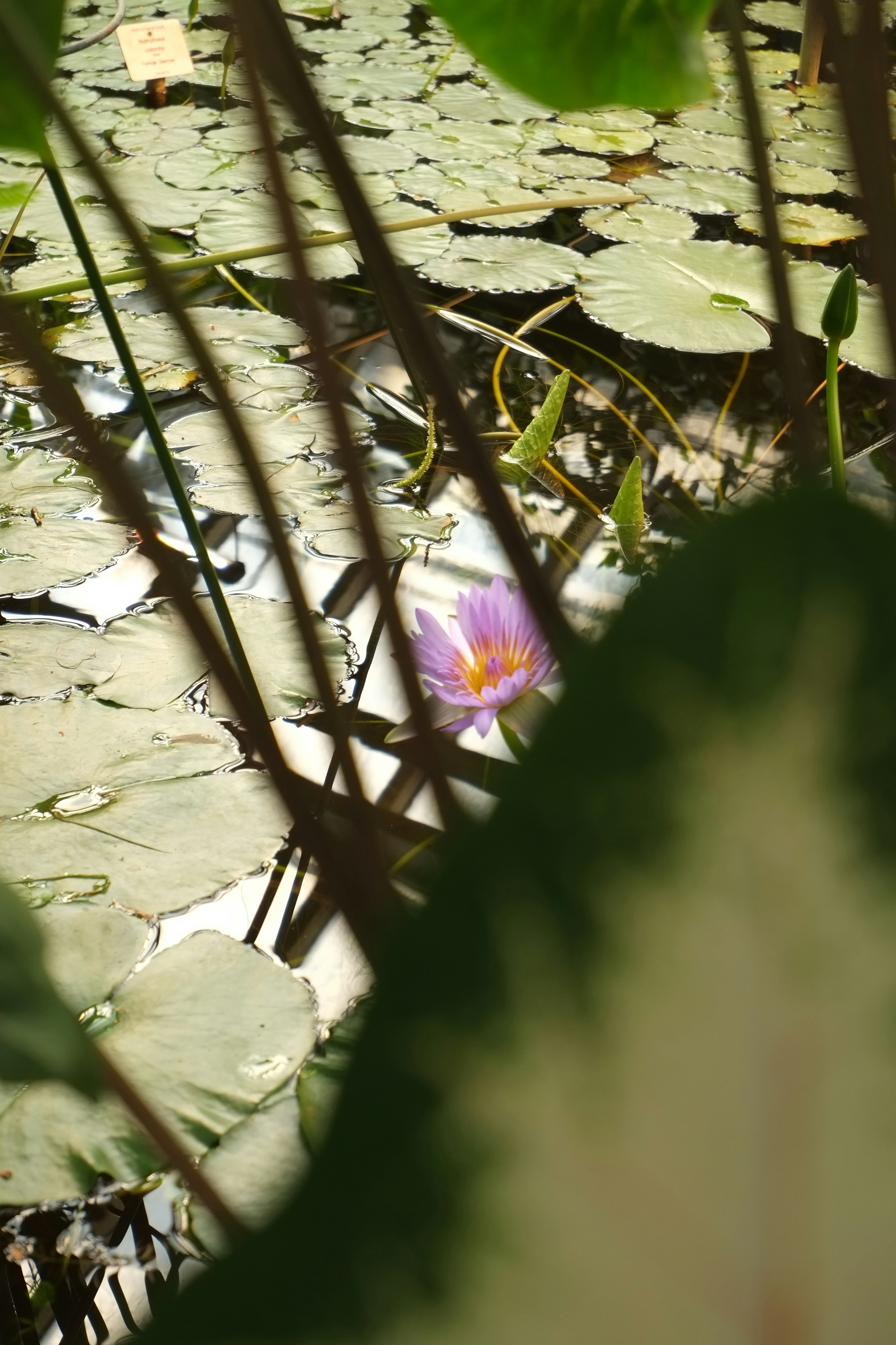 Photo by Bernhard with Fujifilm X-Pro1