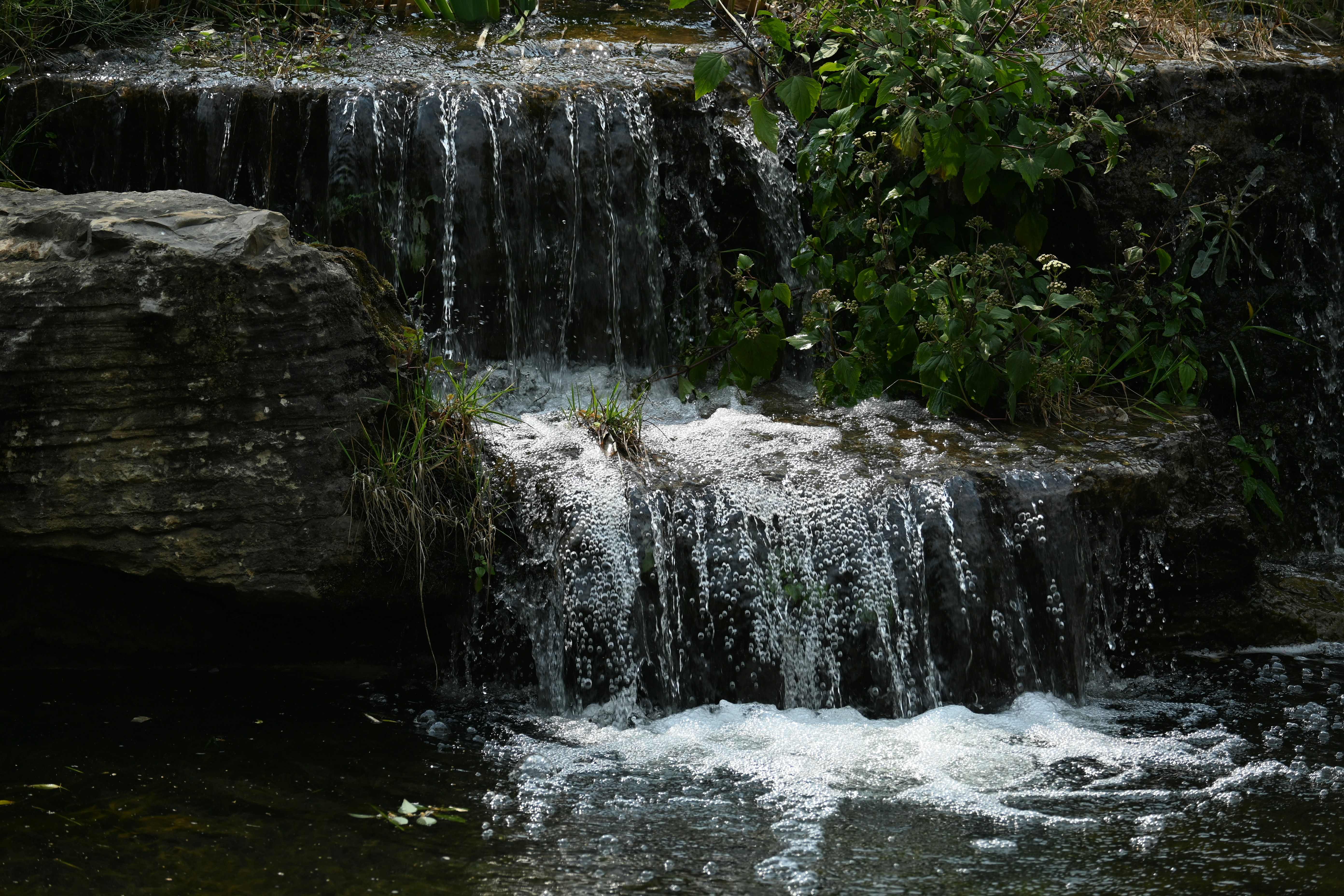 Gentle waterfall cascading over rocks, surrounded by lush greenery and bubbles forming in the water below.