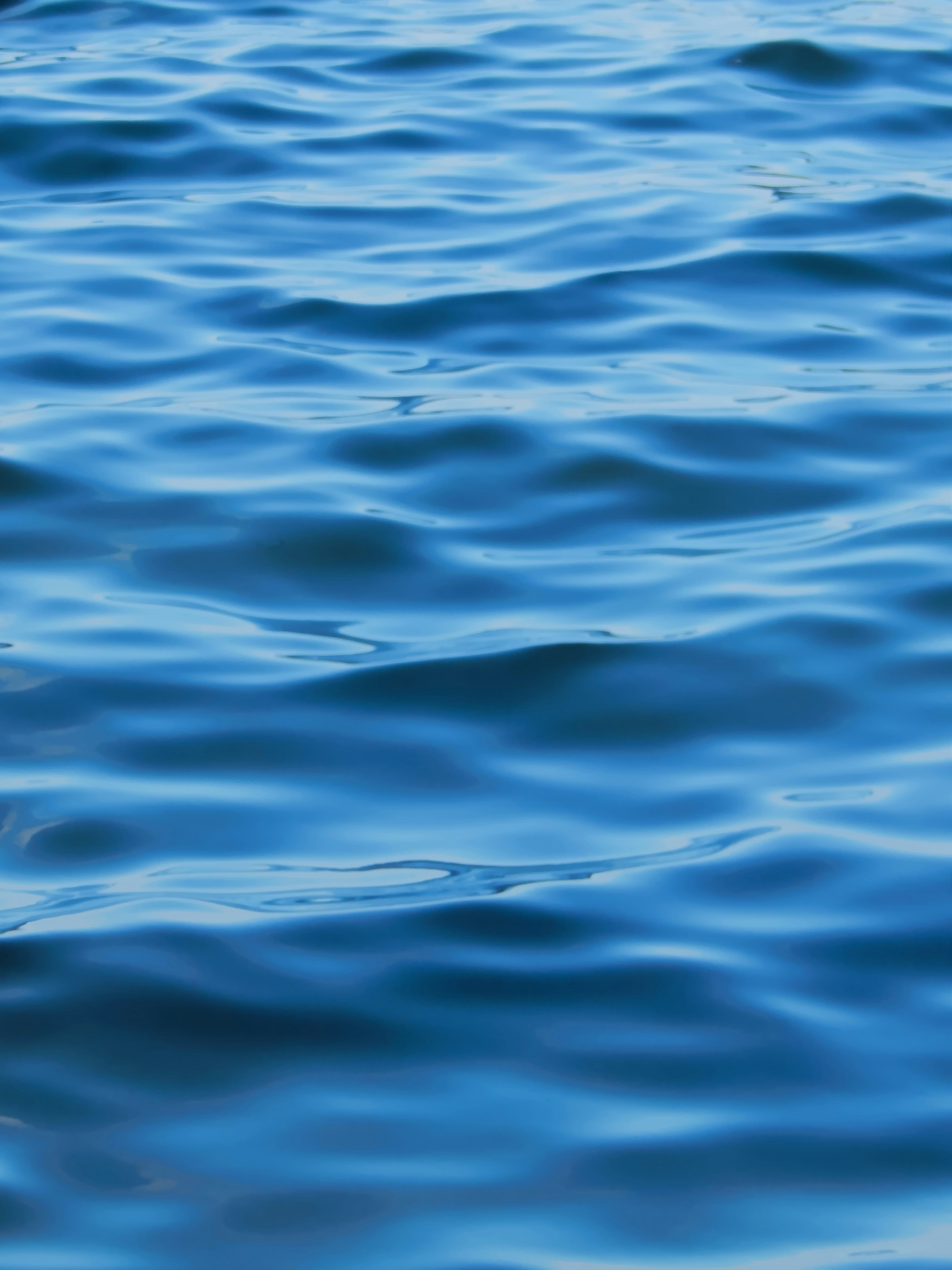 The blue water ripples gently across the surface. photo – Free ...