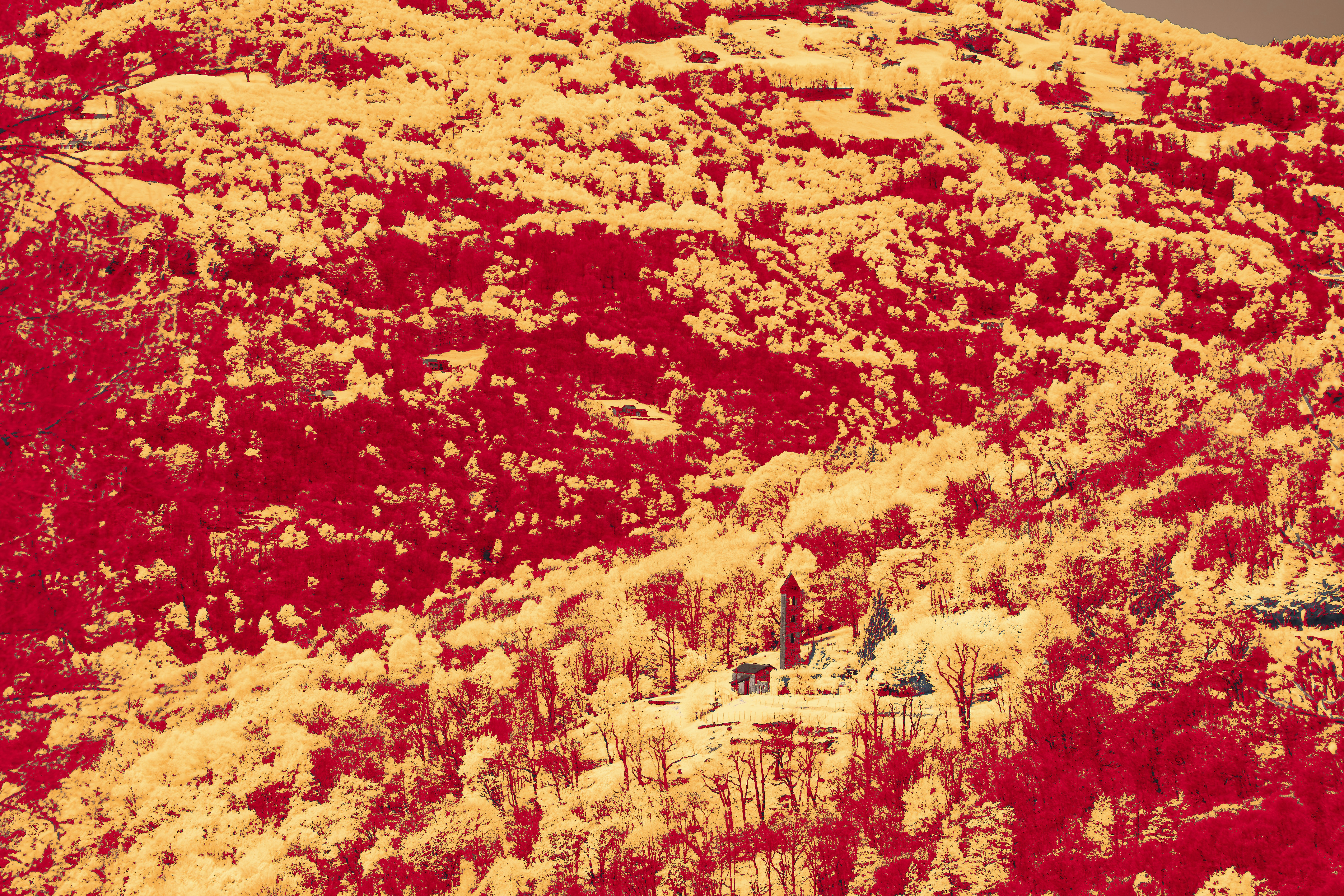 Crimson Canopy Overlook