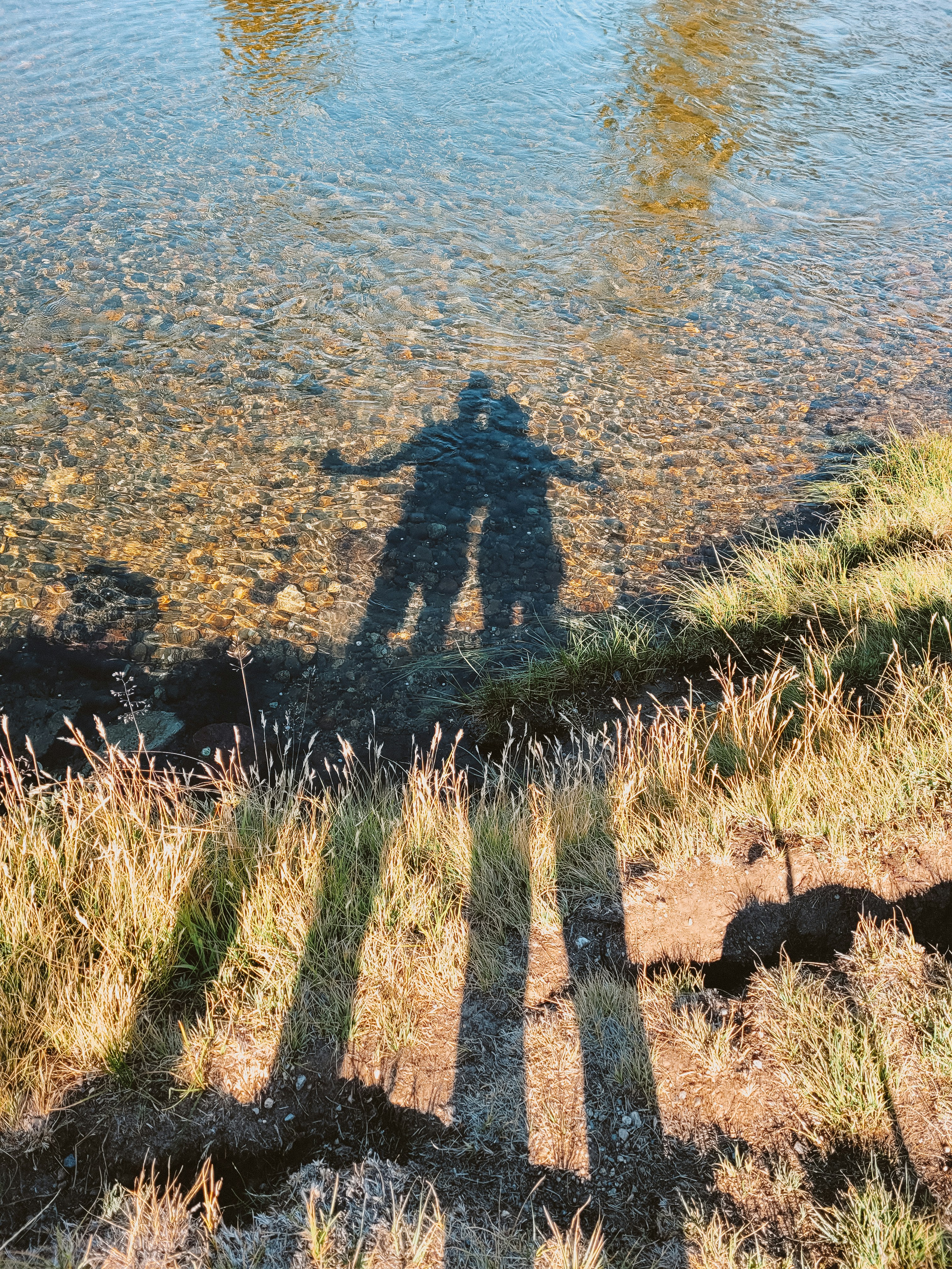 Twin Shadows at the Water's Edge: Pebbles, Grass, and Light