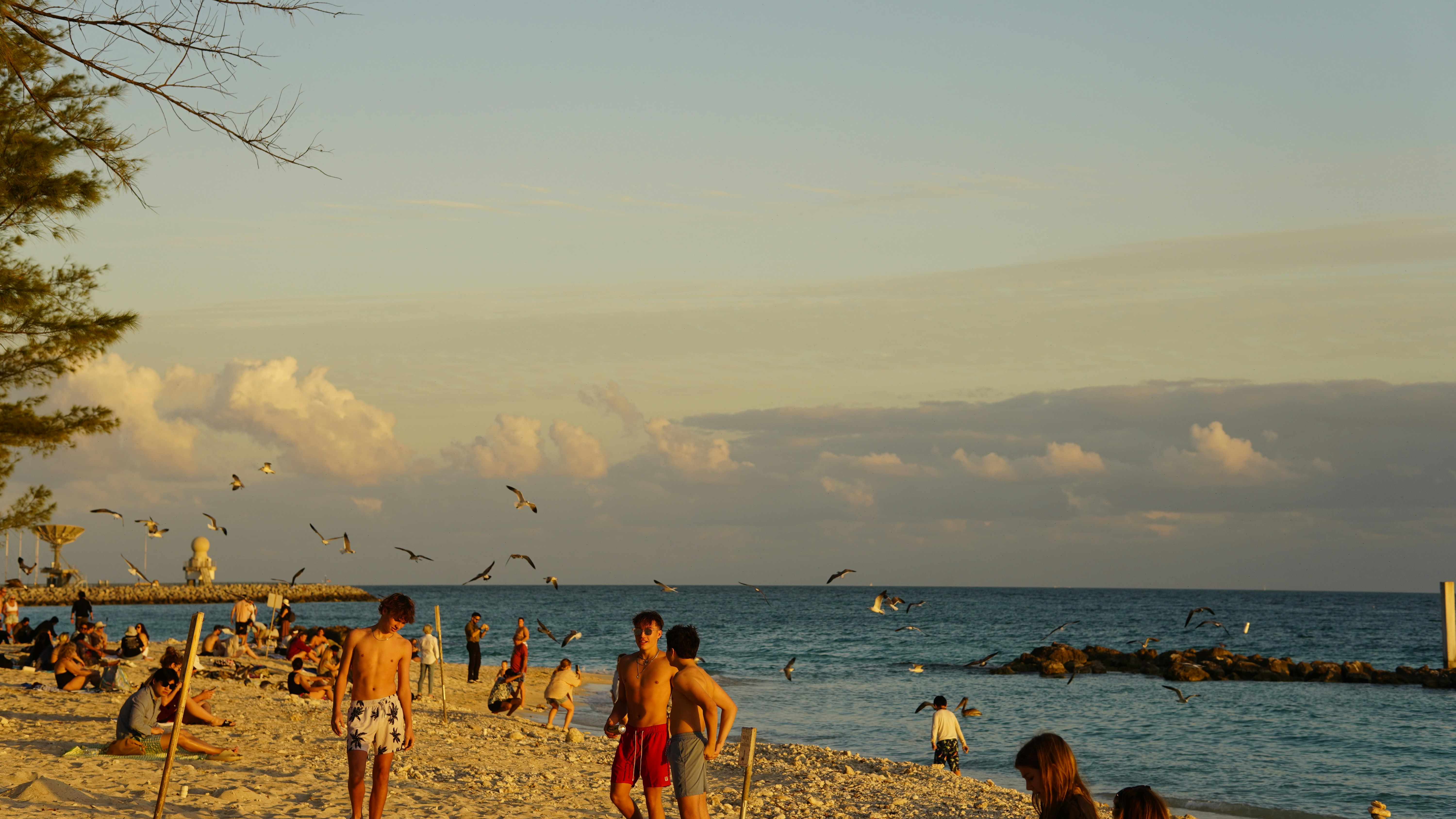 Beachgoers relax and play on a sunlit sandy shore under a clear sky.