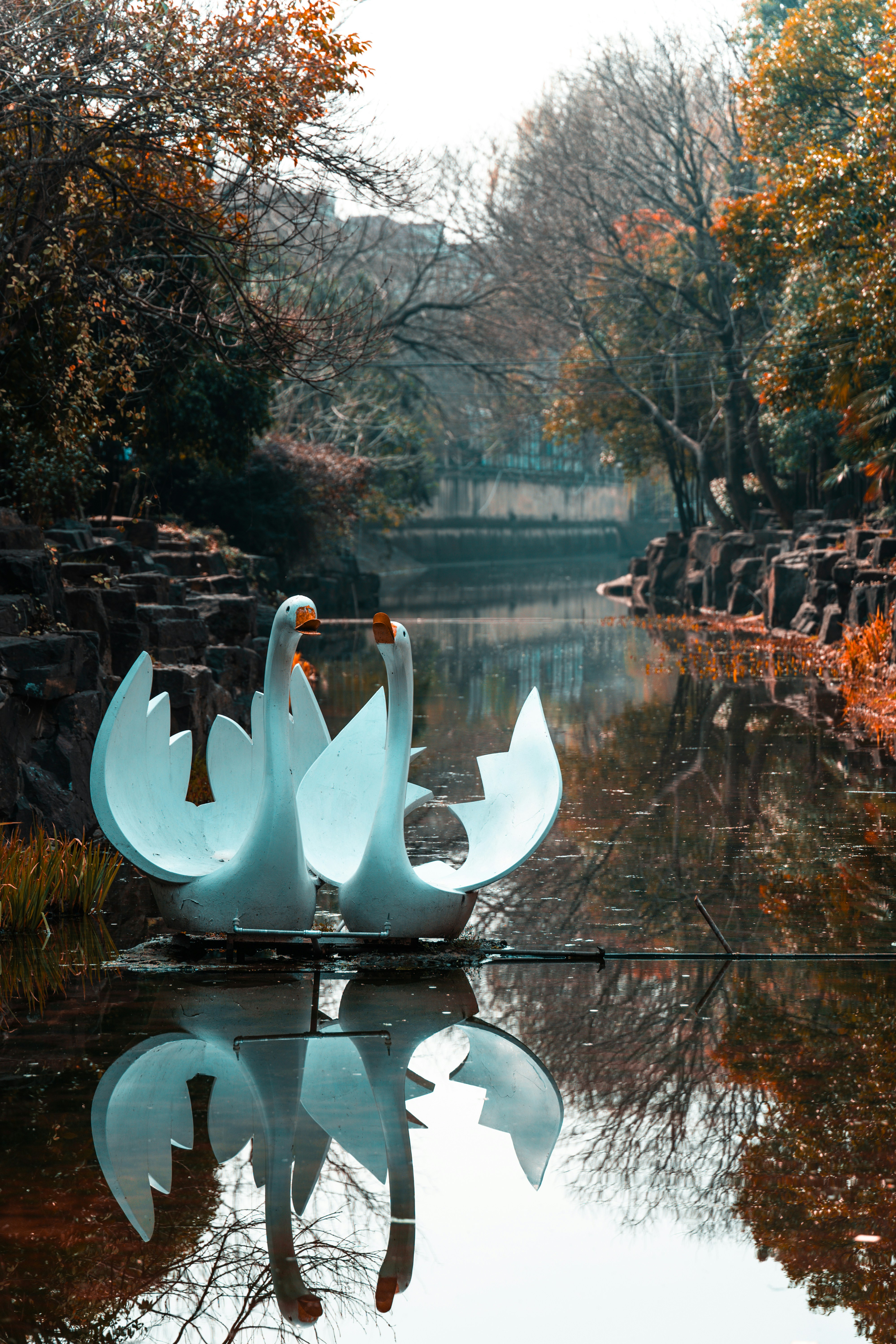 Azure swan boats anchor a quiet autumn canal