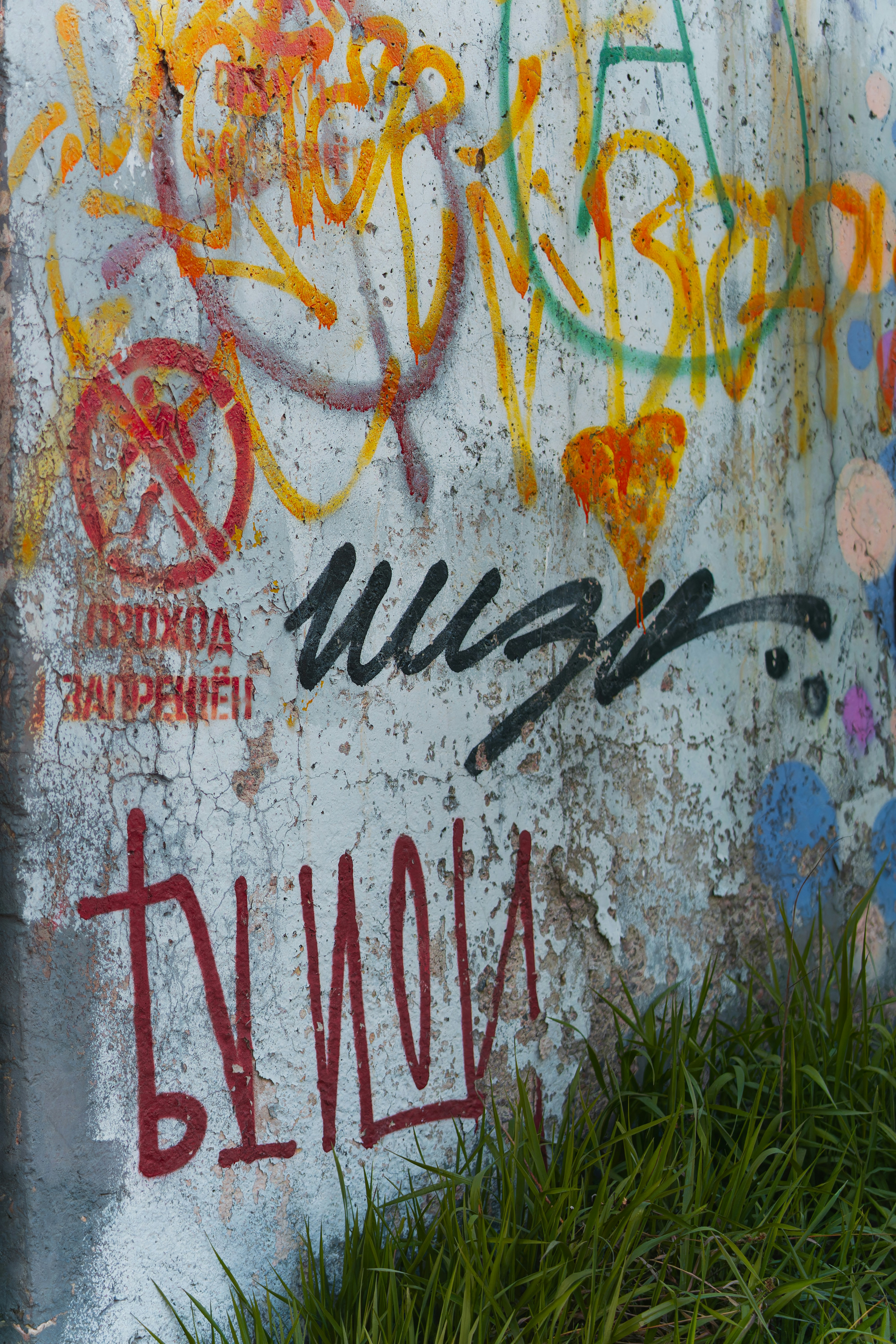 Vibrant graffiti art covers a weathered wall, showcasing a mix of colors and styles, with grass peeking from the bottom. A no entry sign adds a layer of context.