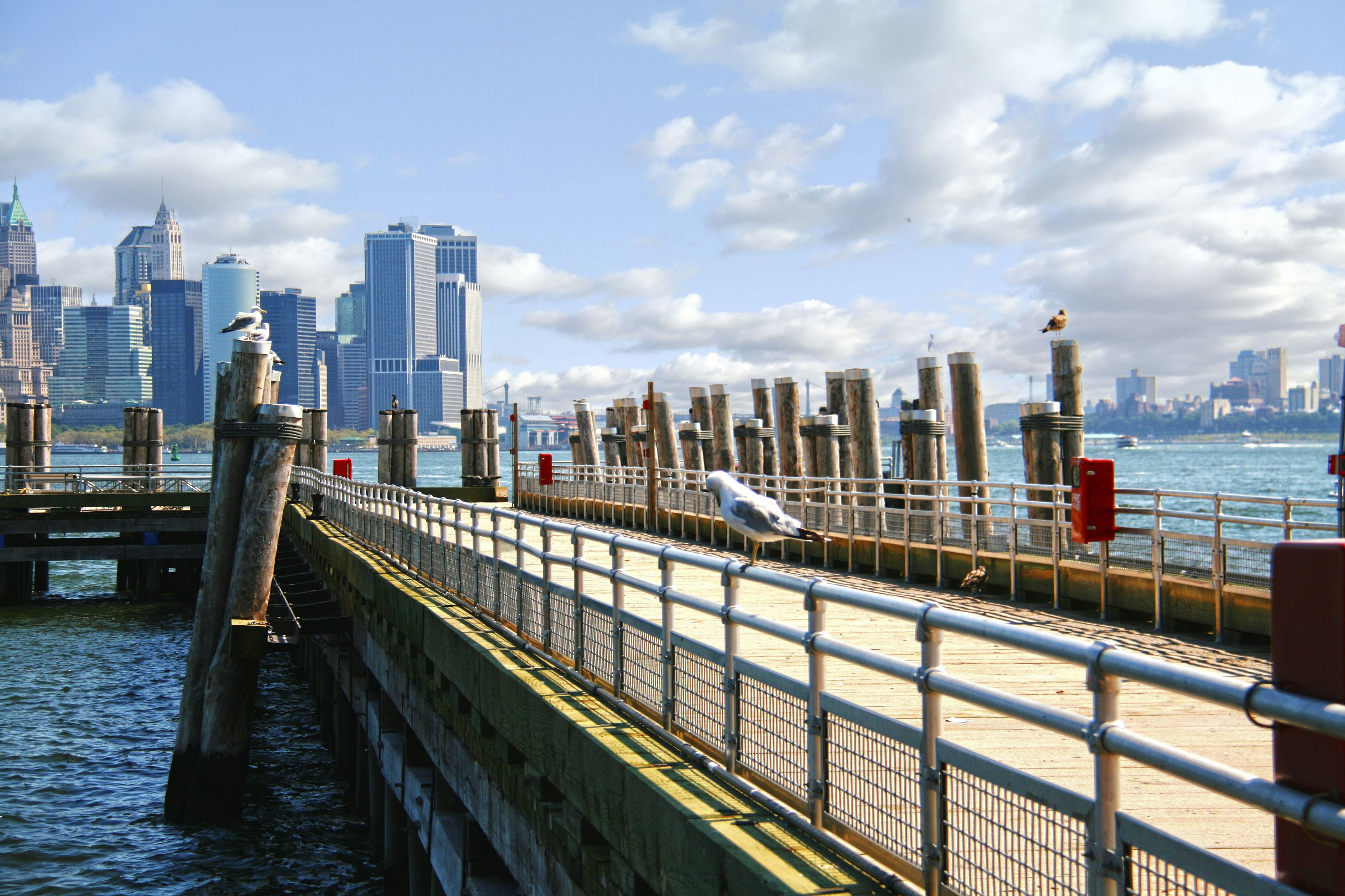 Urban Serenity: Piers and Skylines