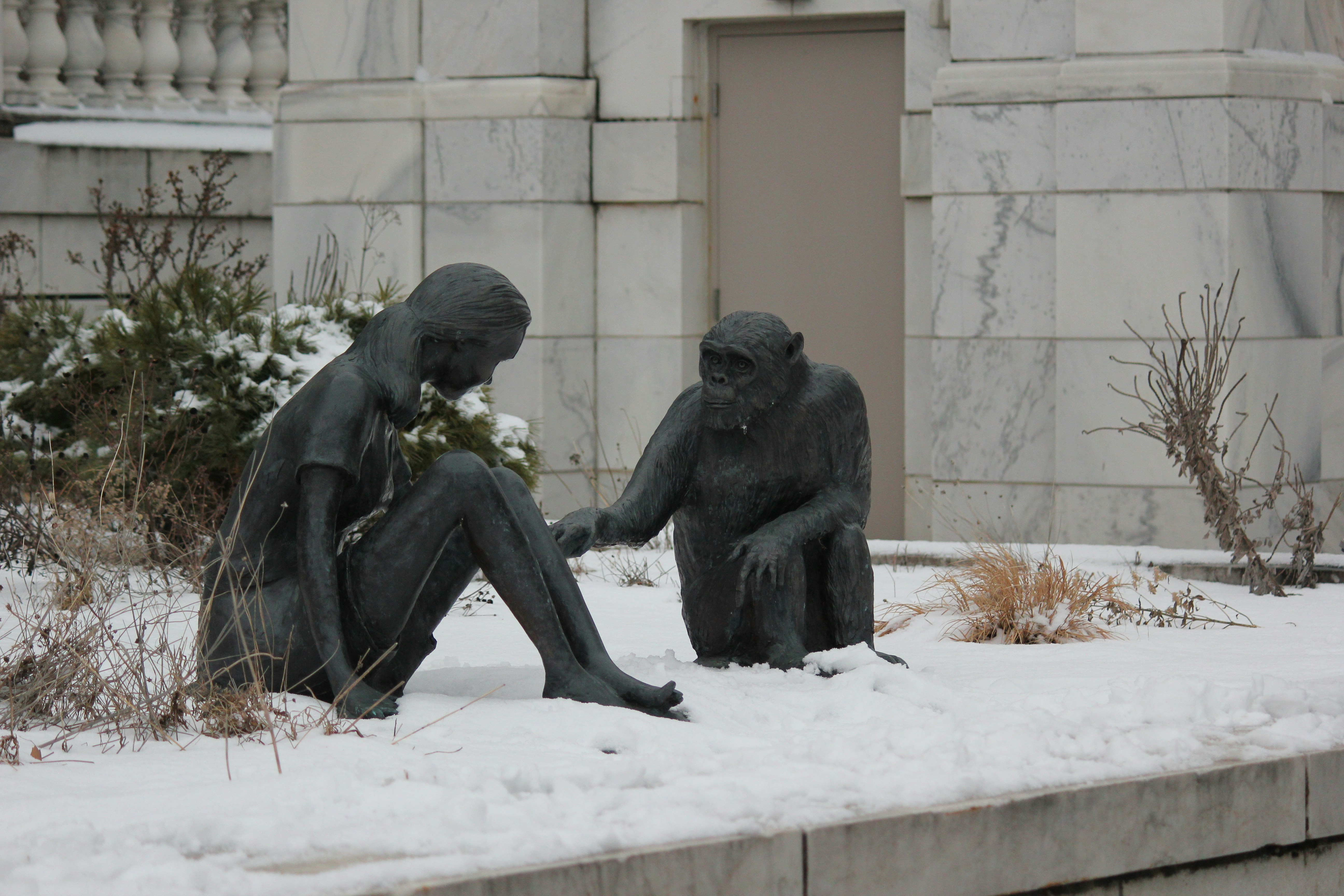 Statues of a human and ape sit together. photo – Free Art Image on Unsplash