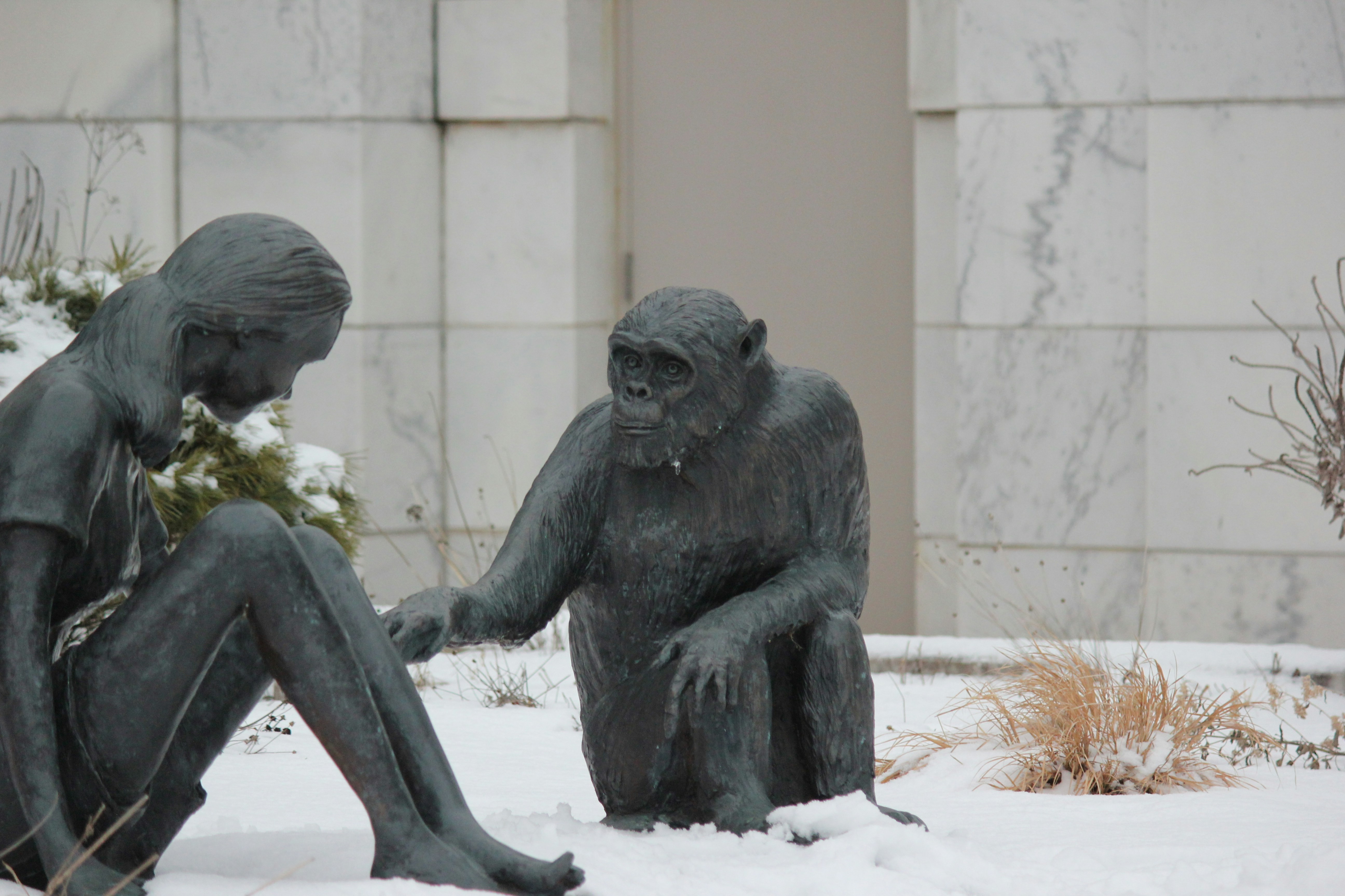 A sculpture shows a girl and a chimpanzee. photo – Free Art Image on ...
