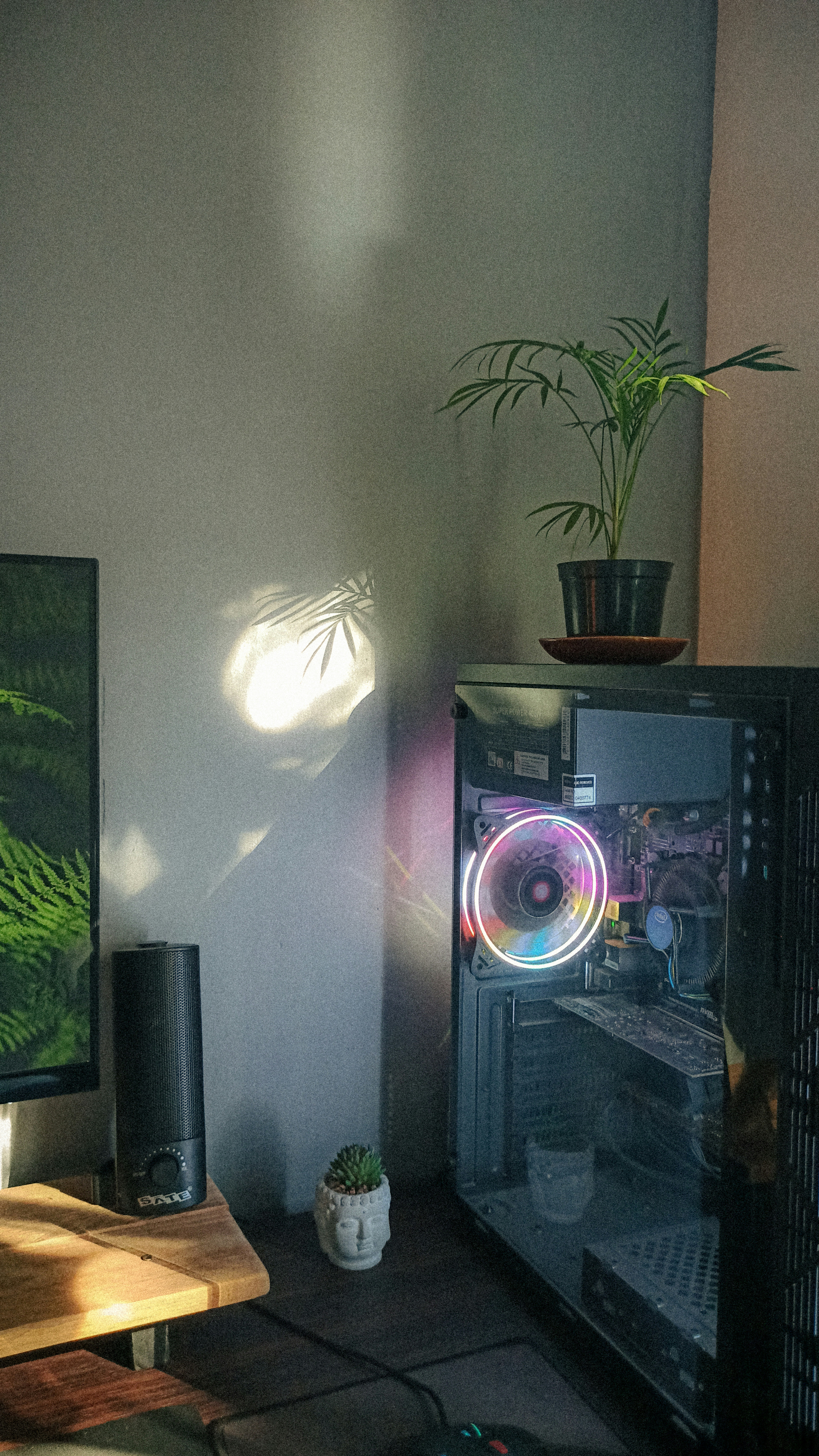 A vibrant indoor scene featuring a computer tower with RGB lighting, a potted plant, and soft shadows cast on the wall. The composition blends modern technology with natural elements.
