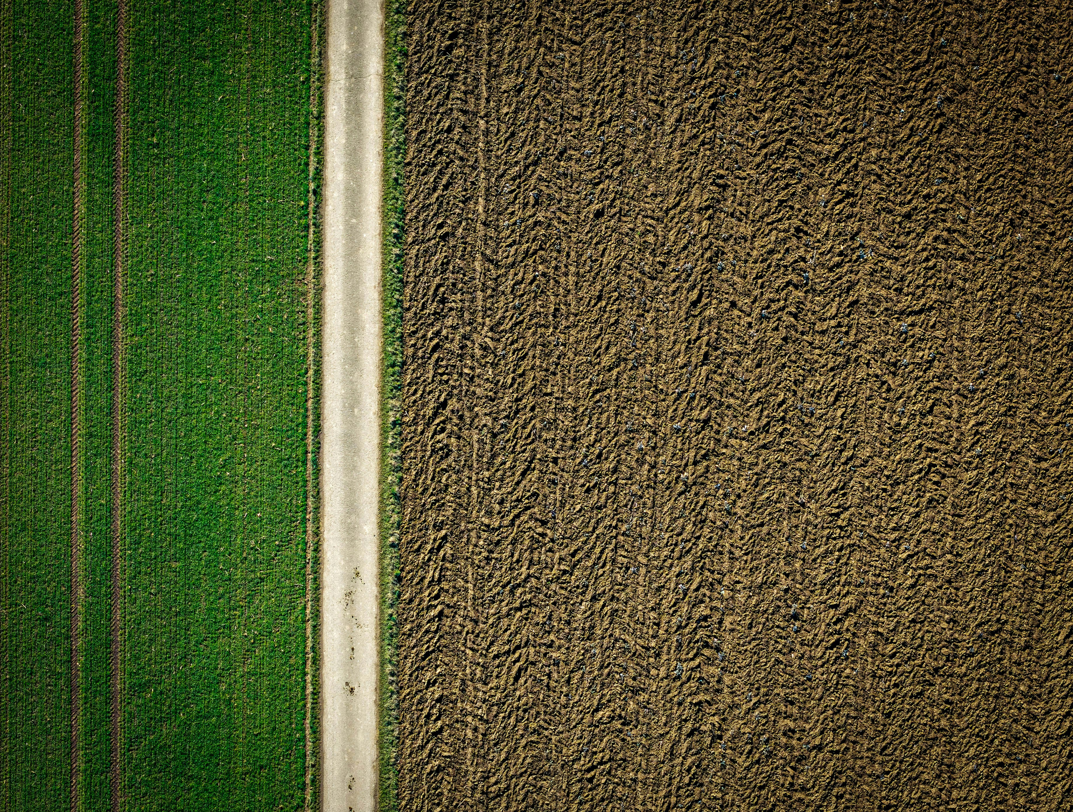 Green field meets brown field with a road. photo – Free Texture Image ...