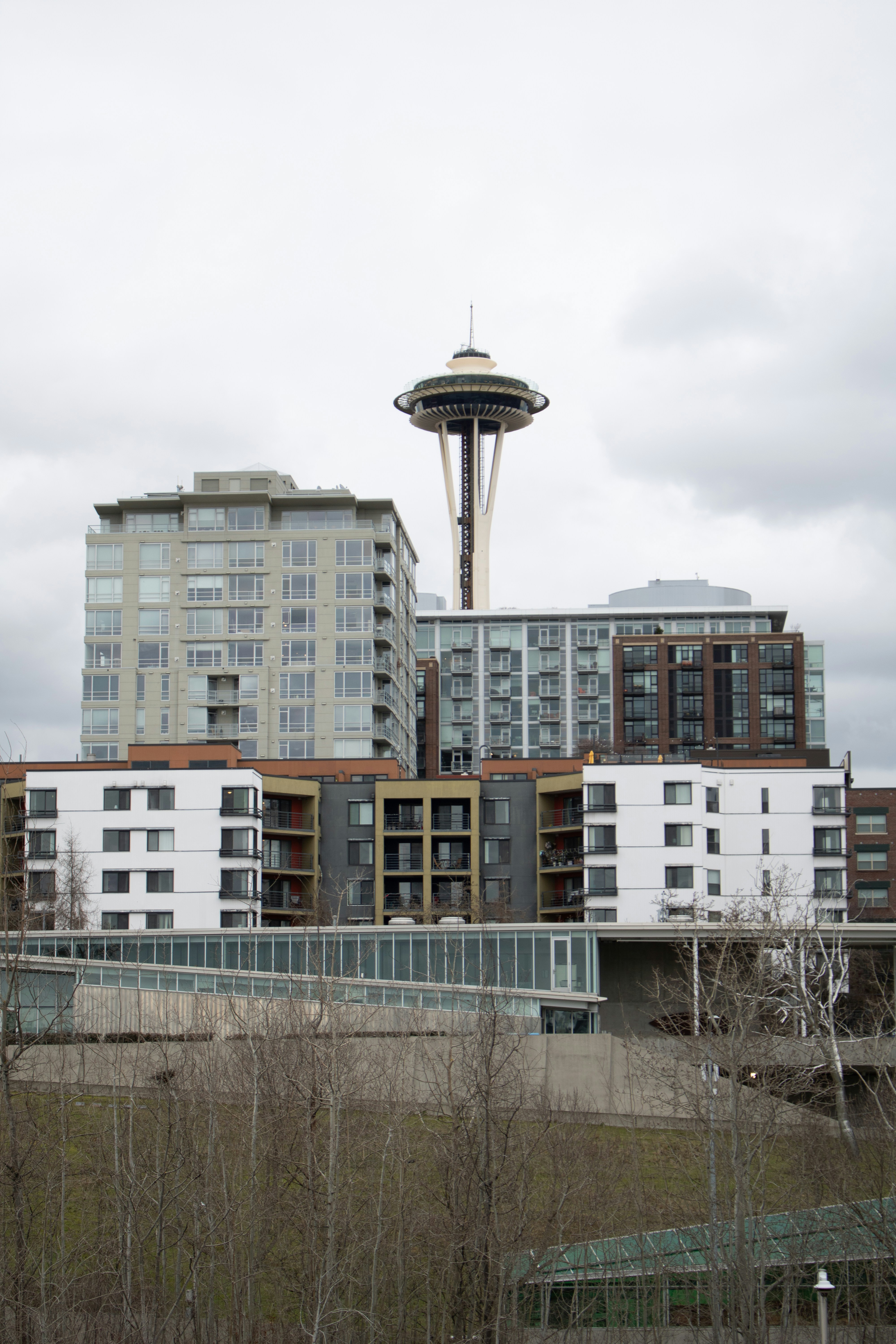 Seattle's space needle towers above city buildings. photo – Free ...