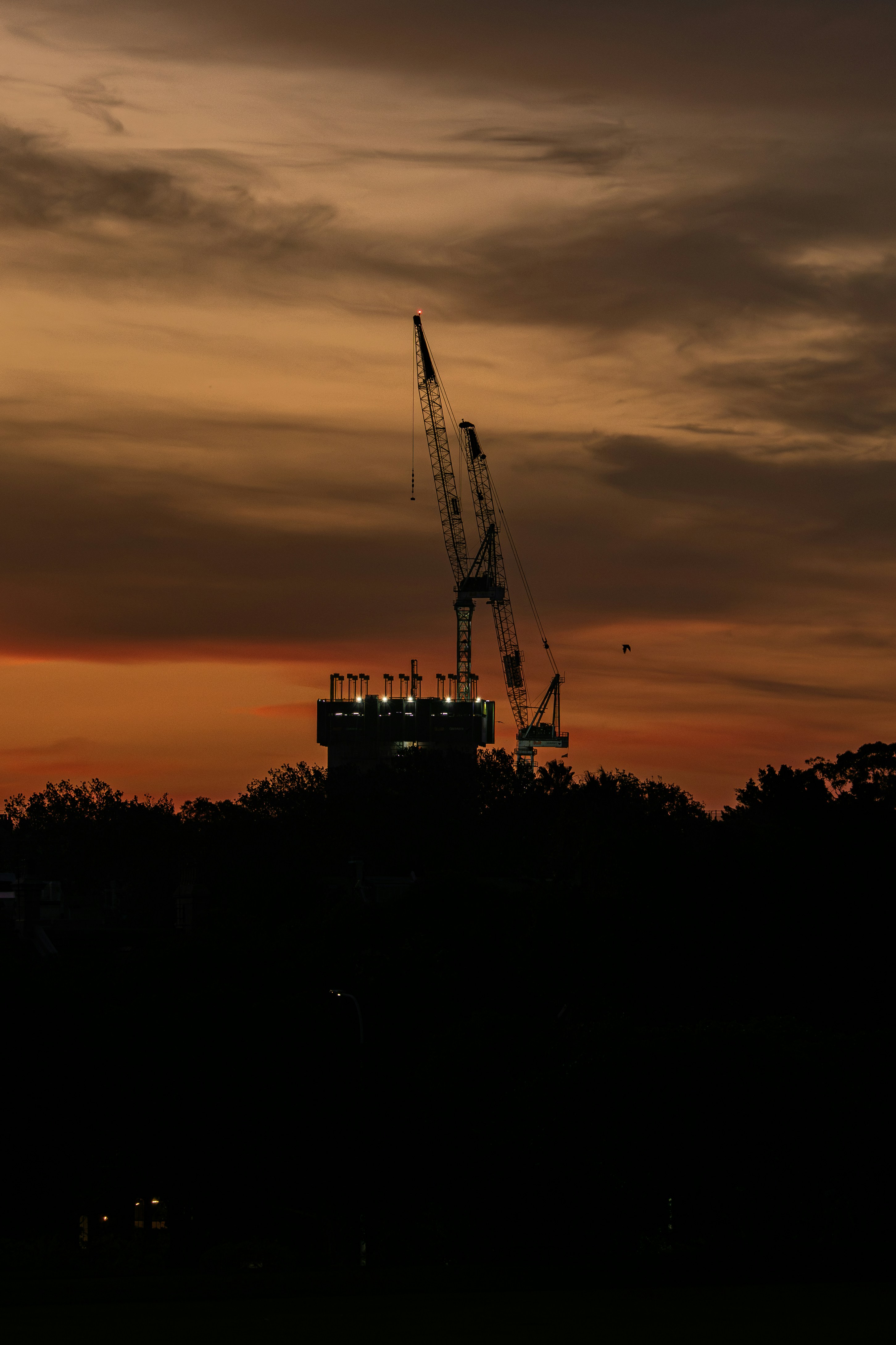 Cranes silhouetted against a dusky sky with orange and purple hues.