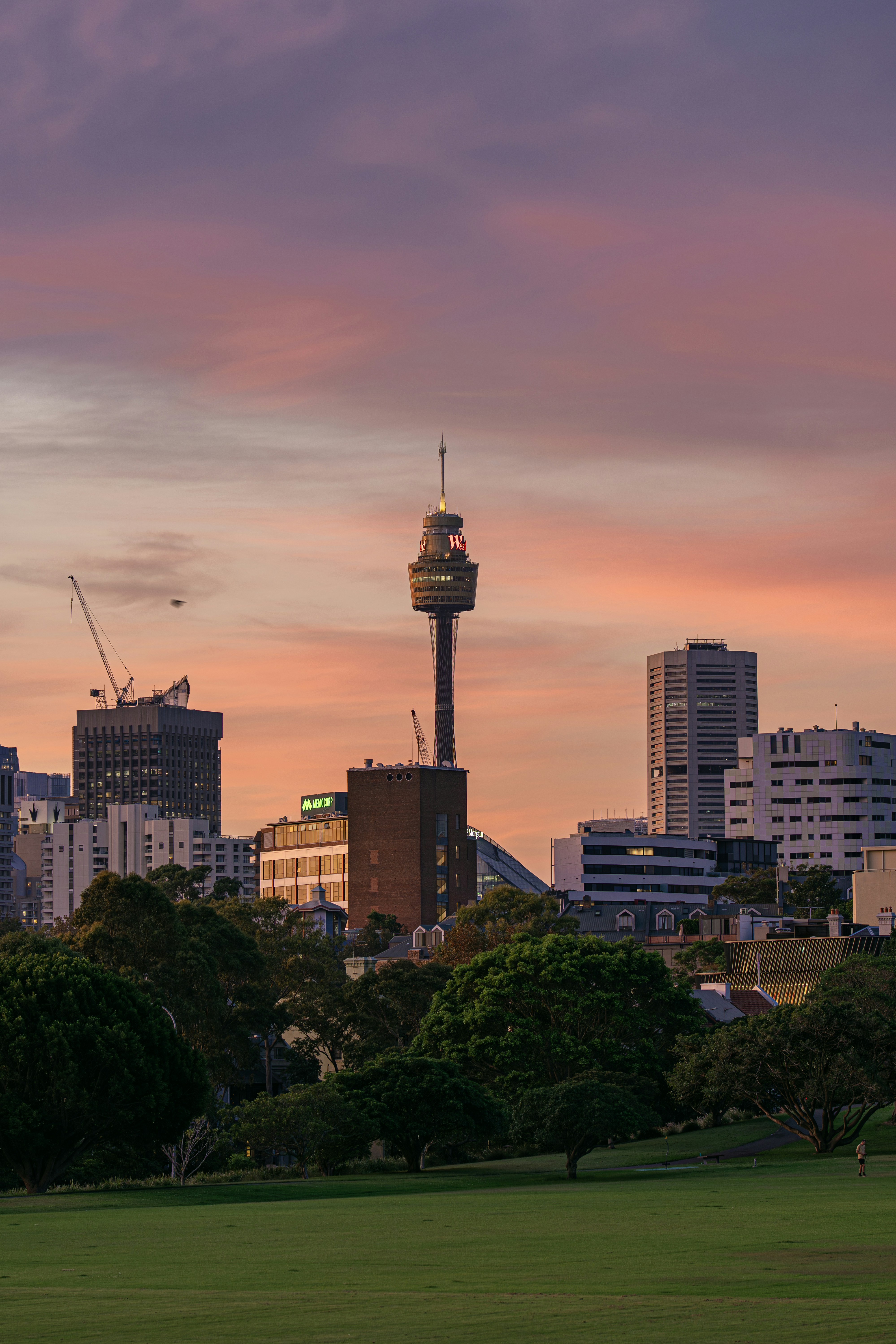 Crimson Dusk Over the Sky Tower: Sunset Light Drapes a City Park