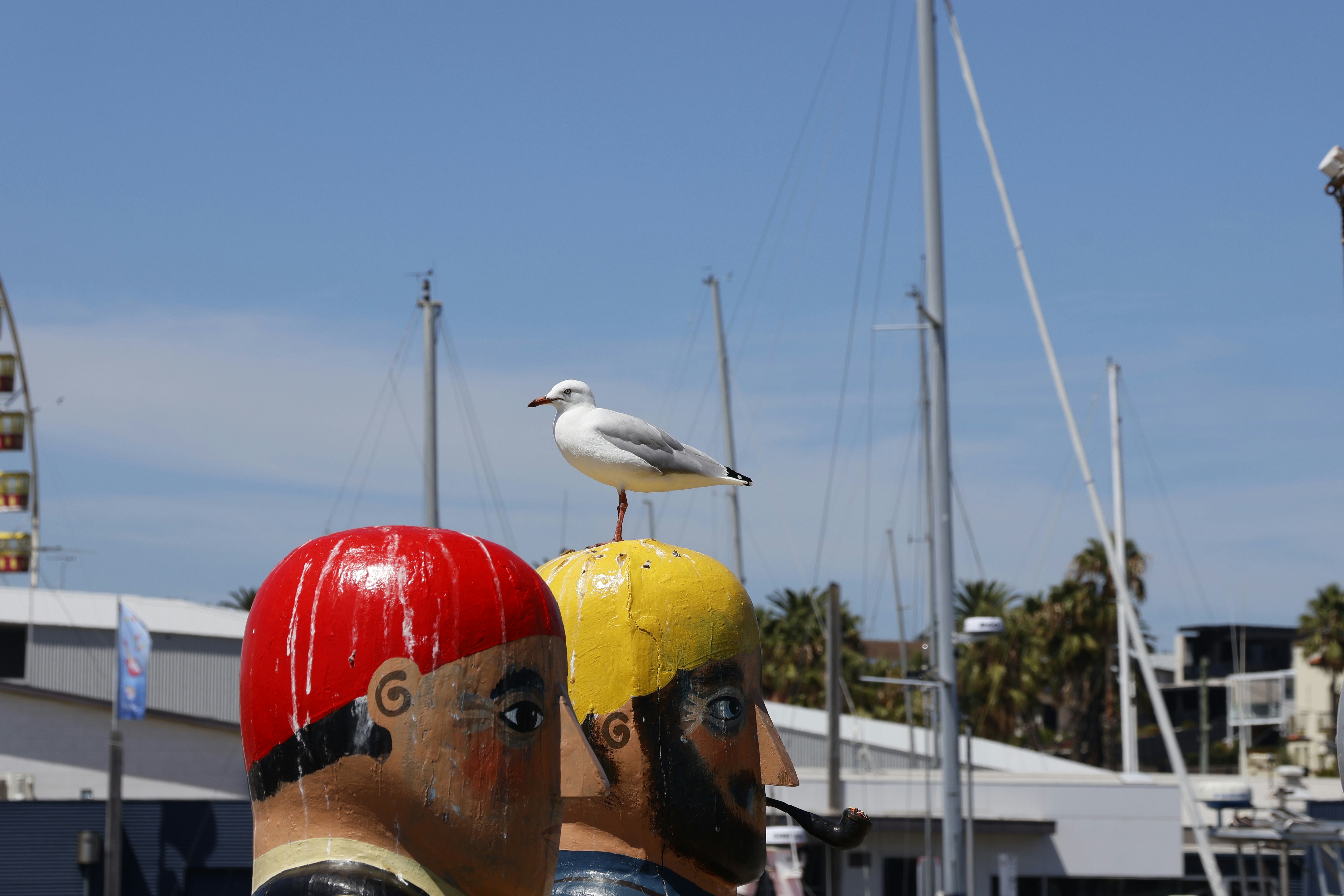 Maritime Perch: Seagull on Colorful Sculptures