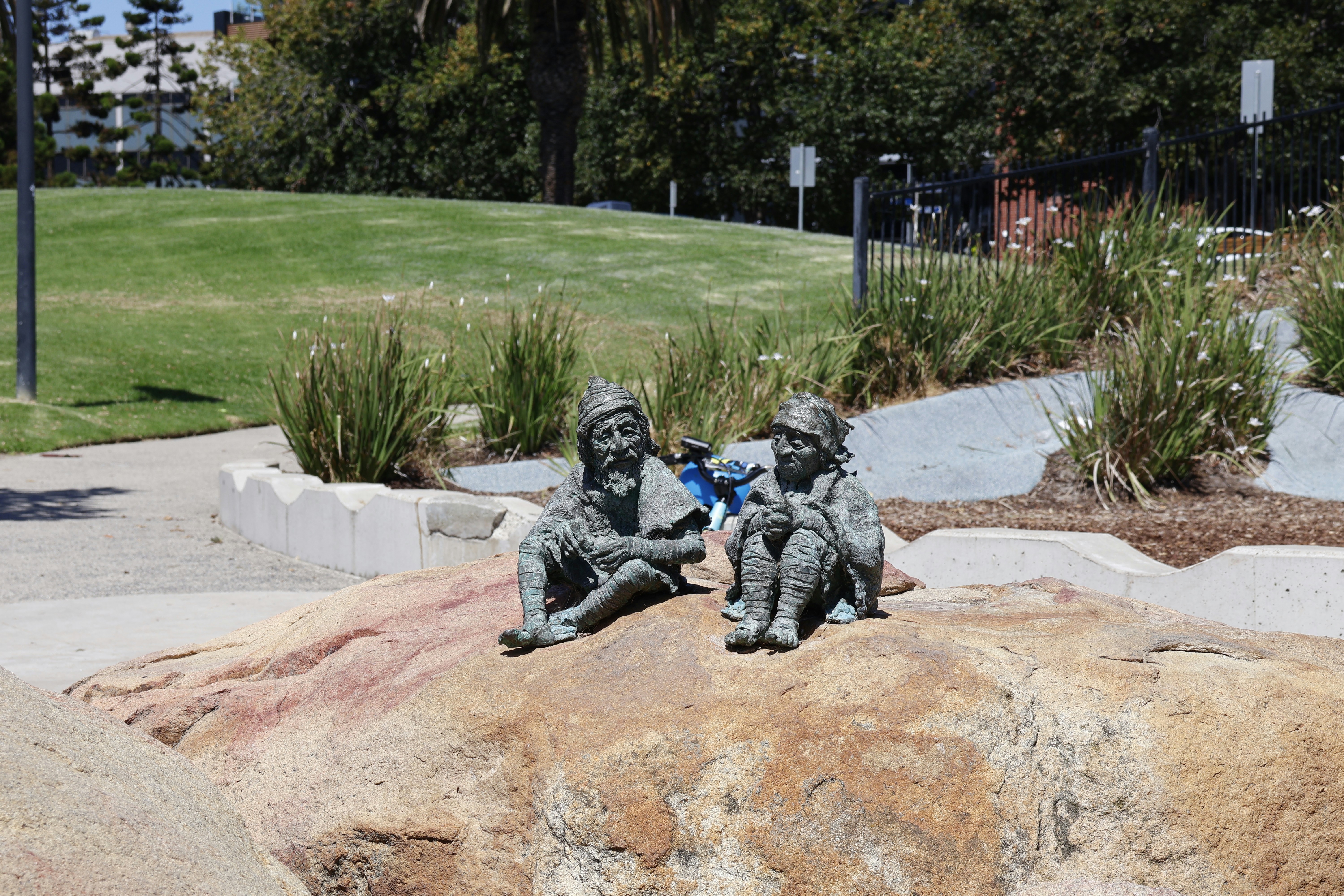 Contemplative Companions Amidst Nature's Embrace
