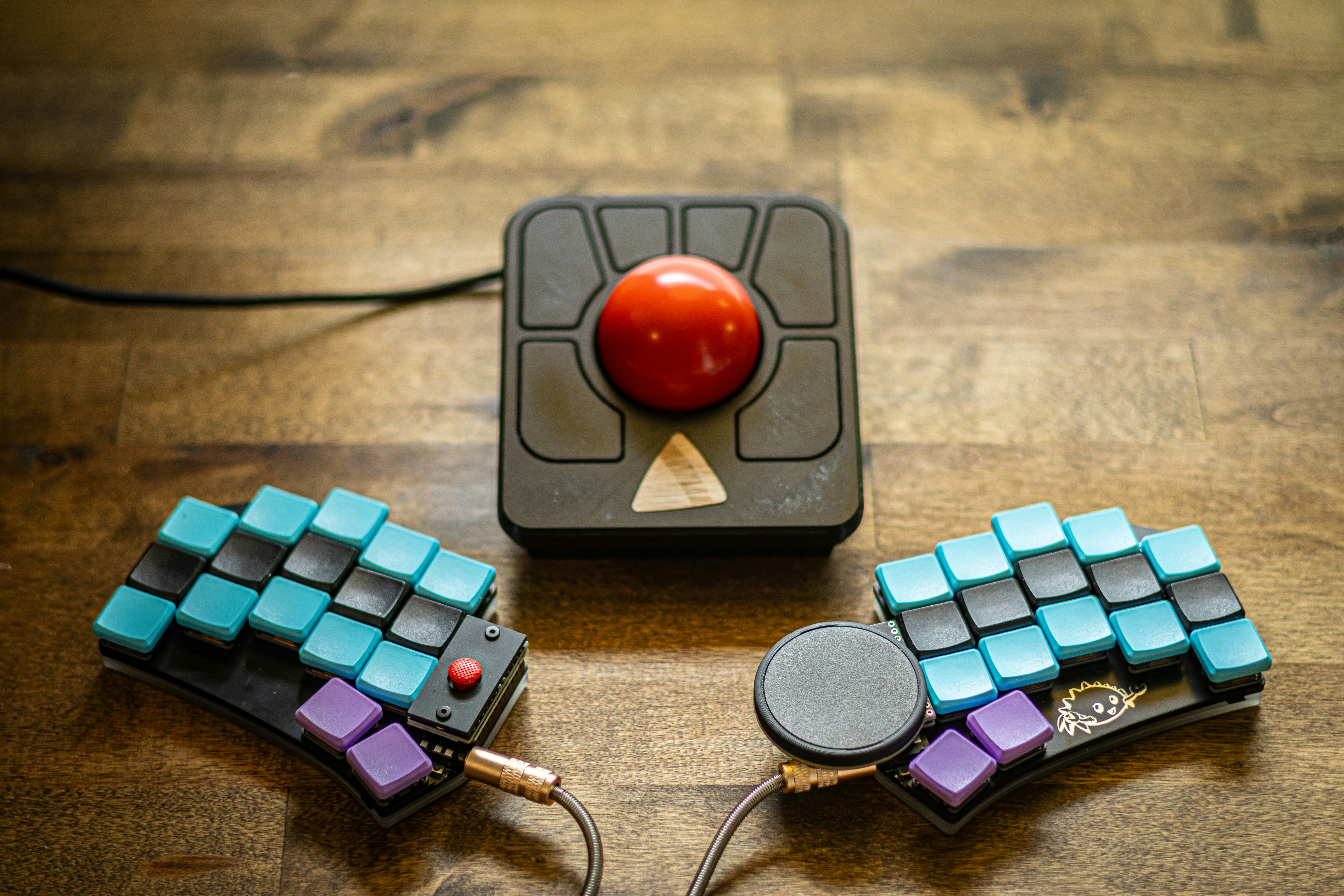 Human Factors Pictures | Download Free Images on Unsplash