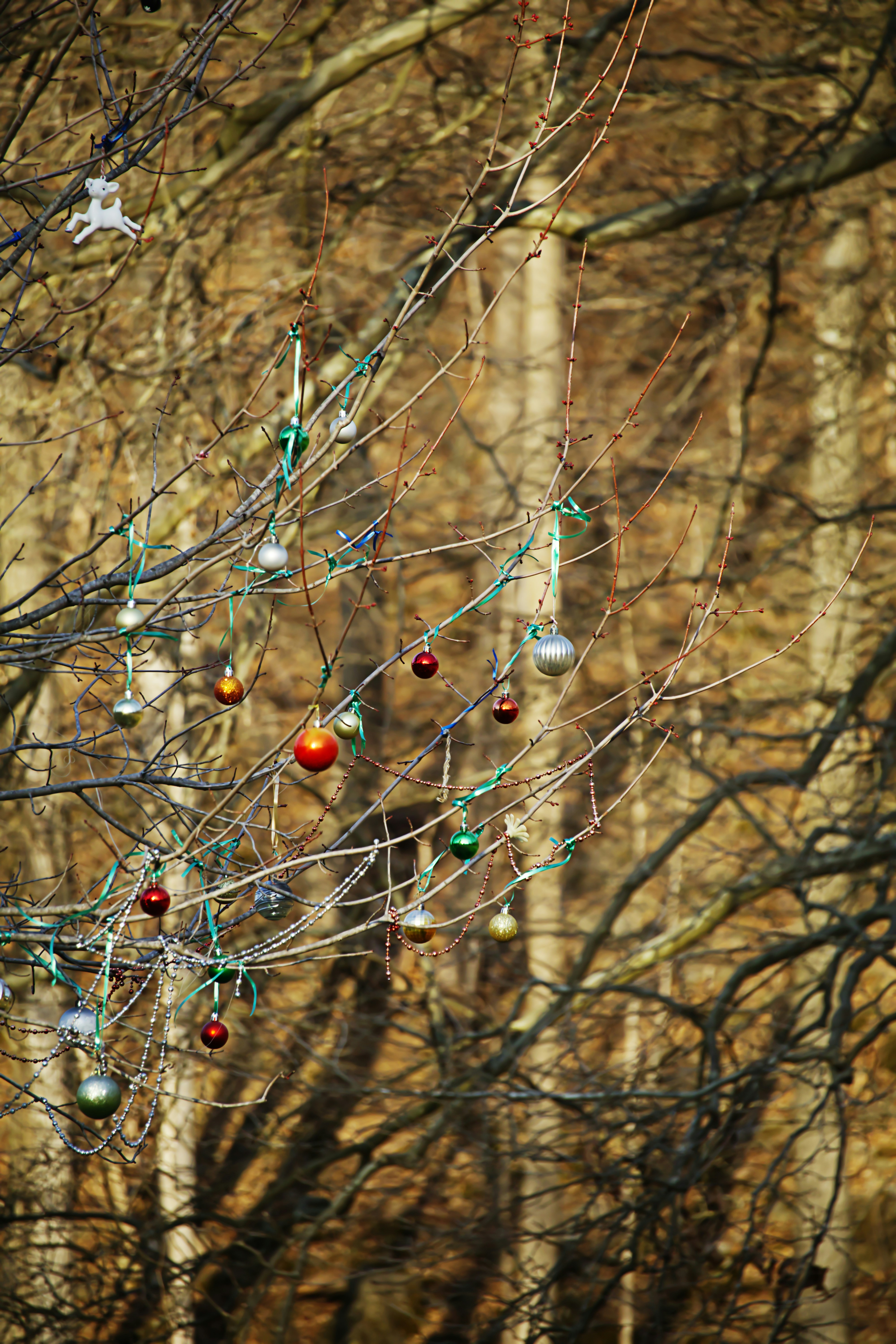 Ornamental Whispers of Winter