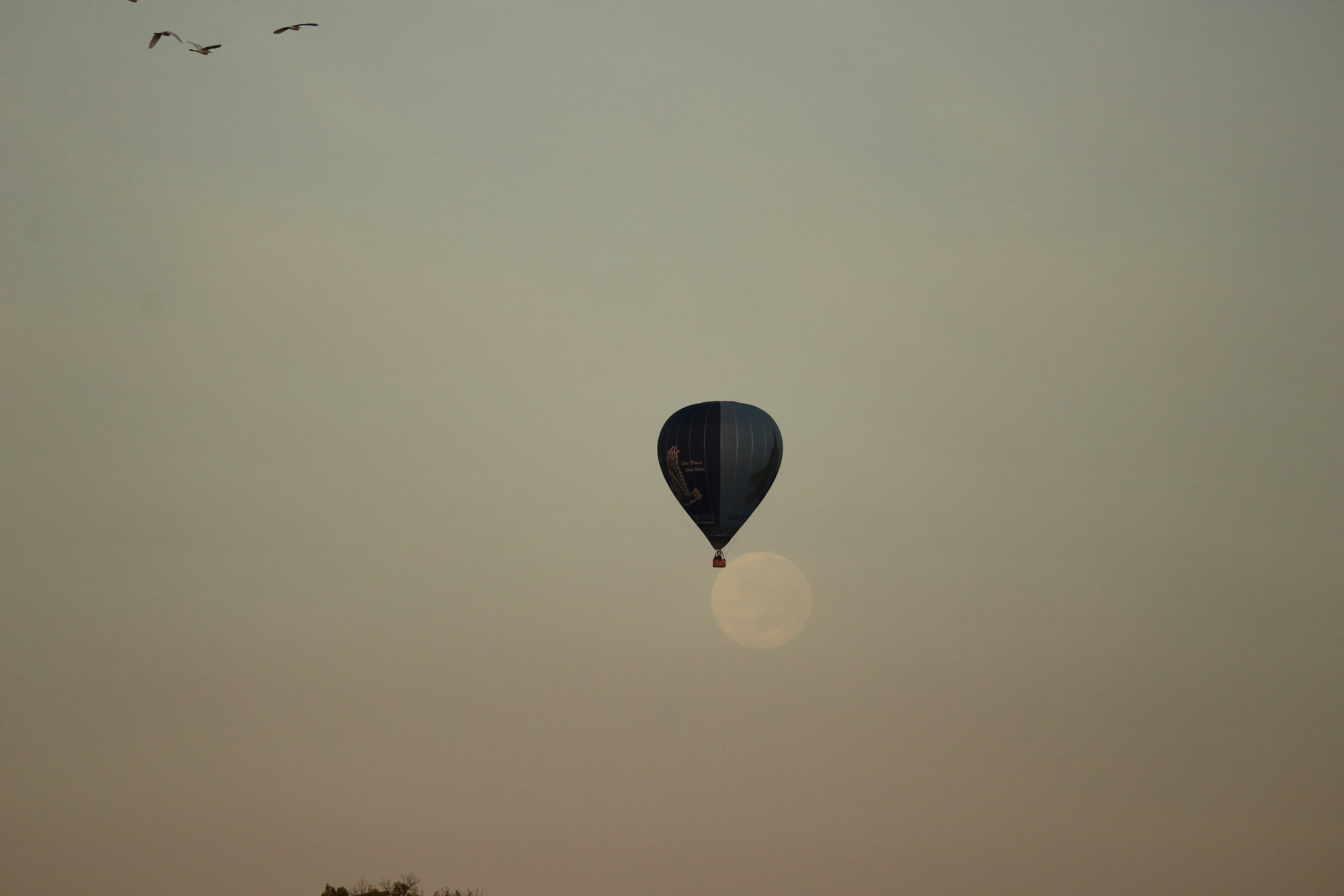 Hot air balloon drifts gracefully past the rising moon as birds soar nearby.