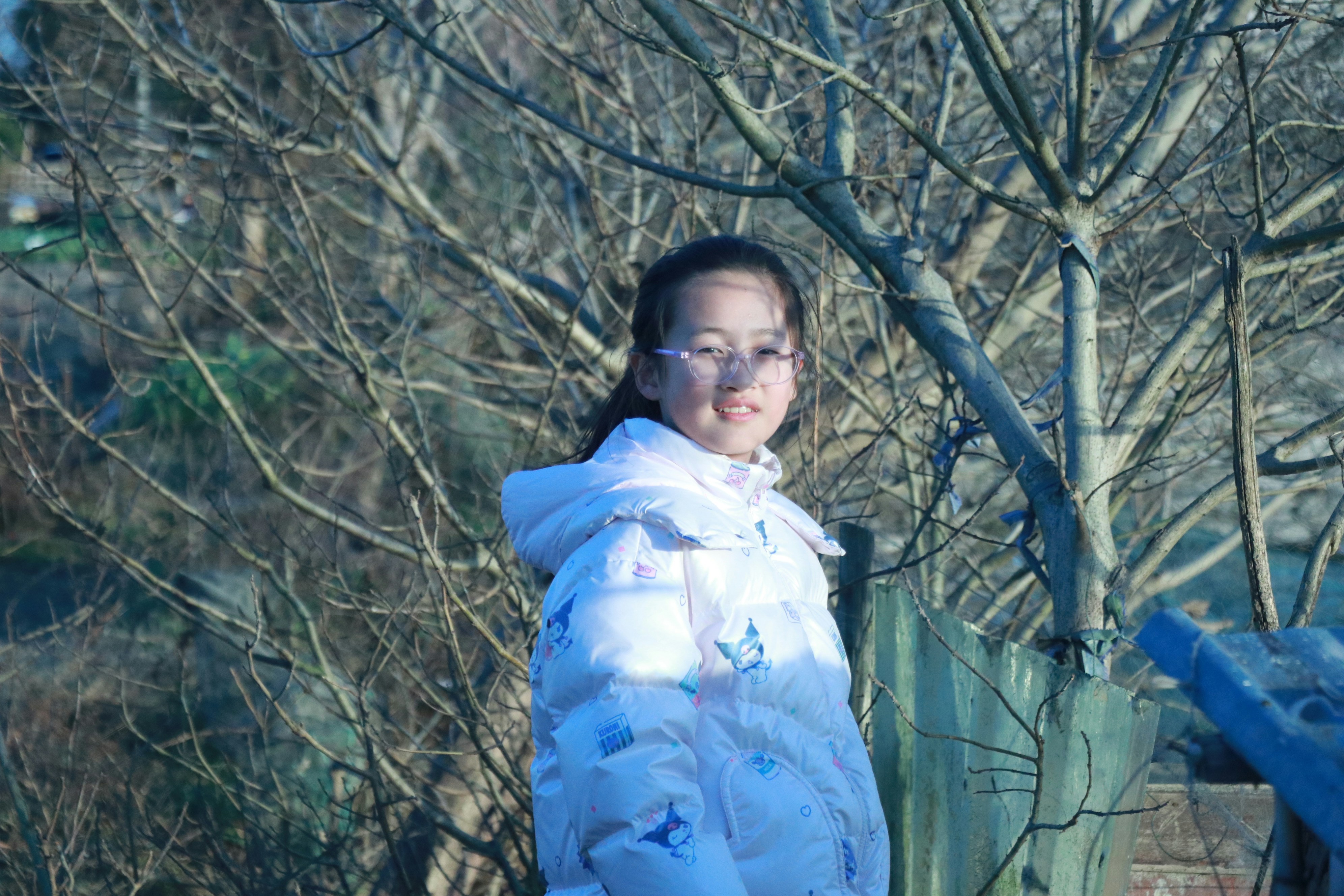 Winter Chill in the Woodland