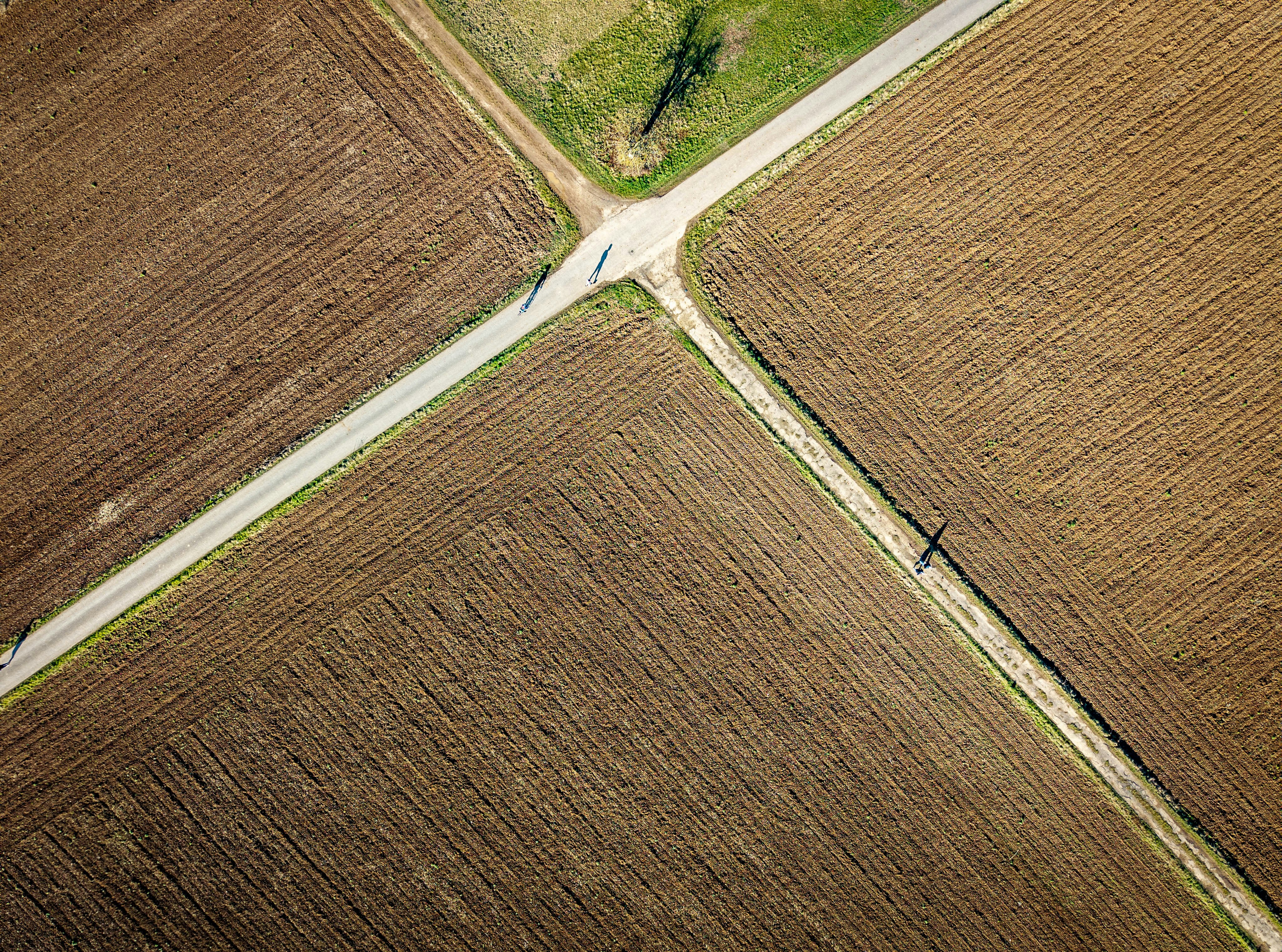 Symmetrical intersection of roads through plowed fields, with long shadows cast by two walkers and a lone tree.