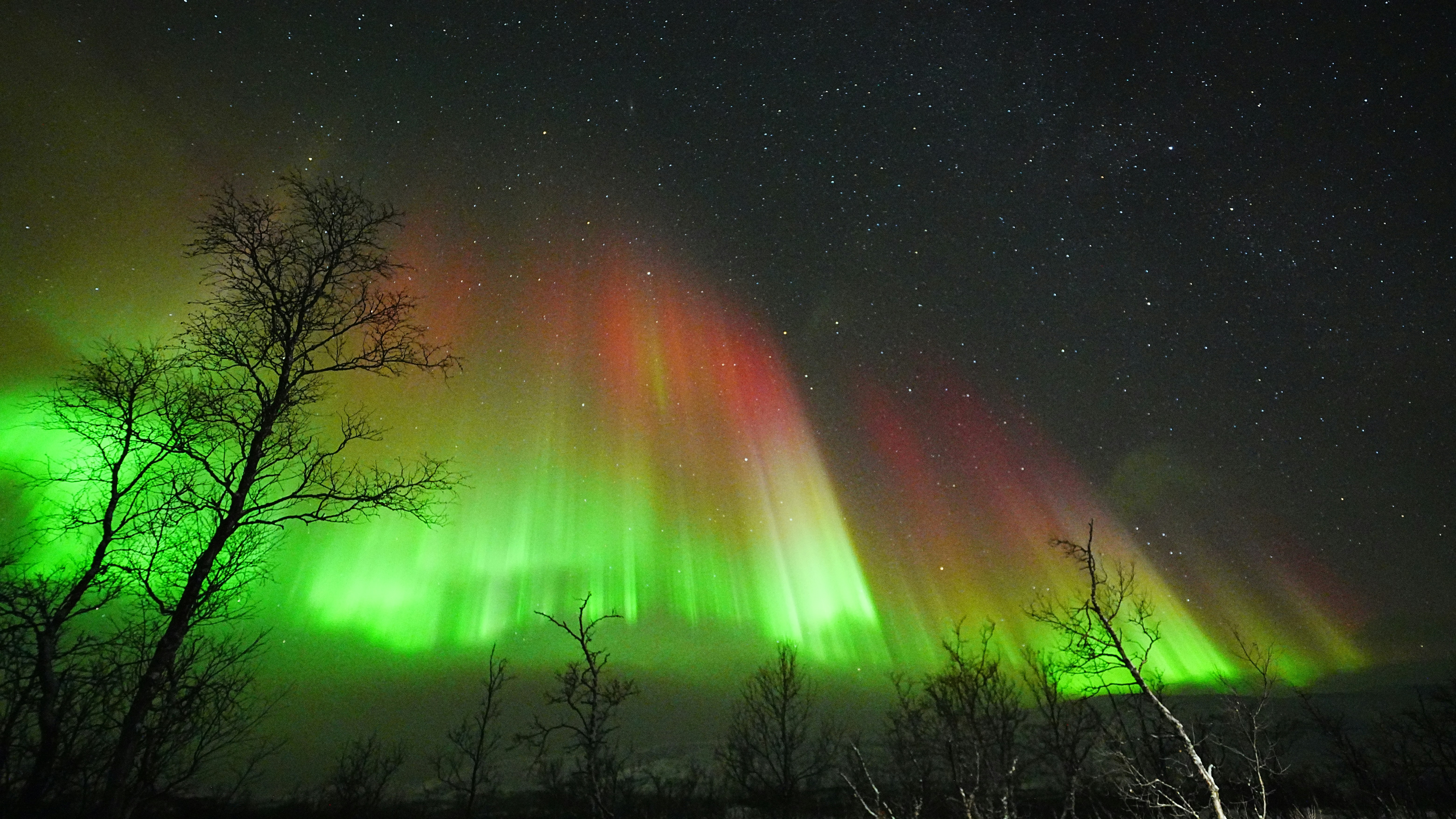 Celestial Symphony: Dance of the Northern Lights