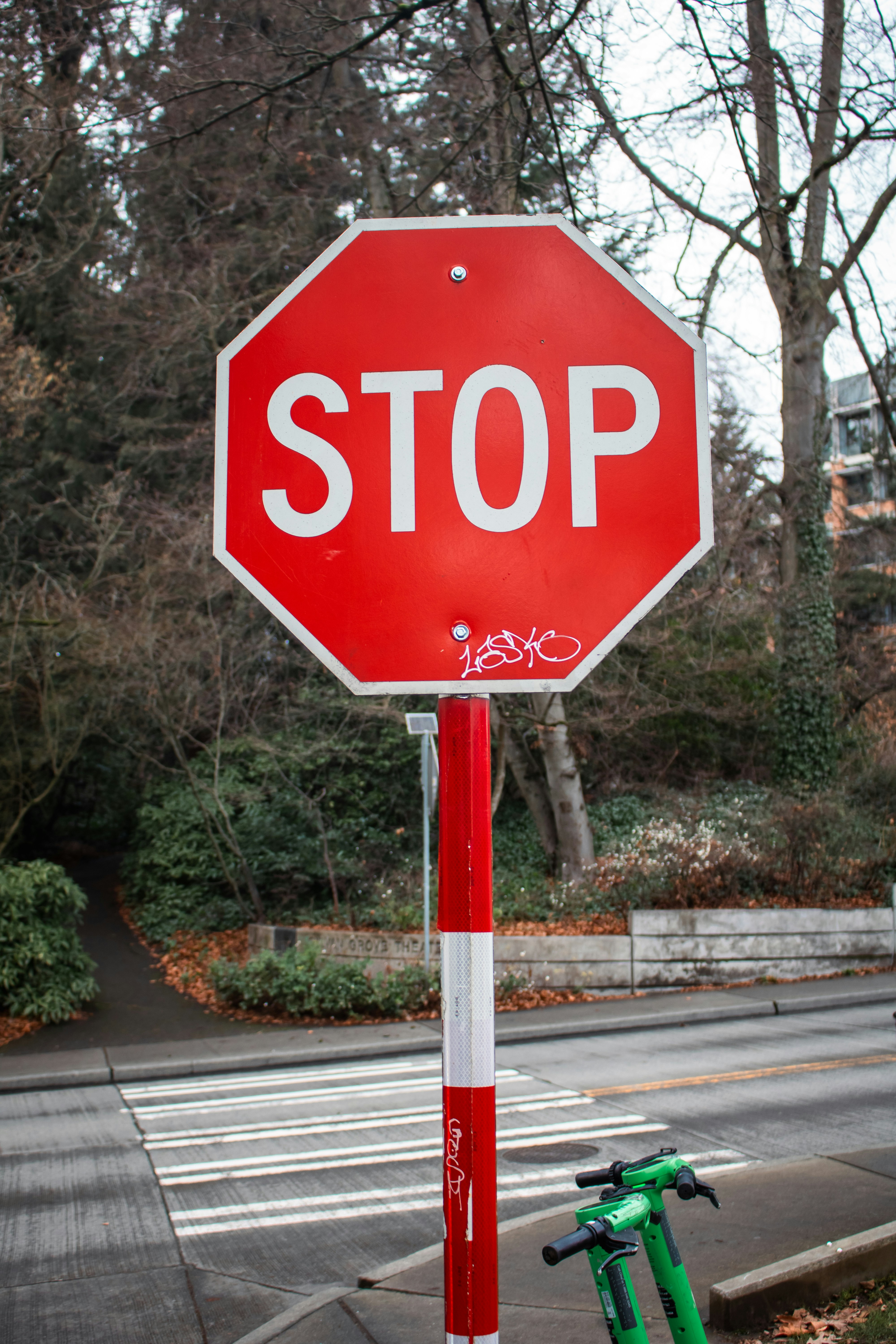 A red stop sign is posted near a crosswalk. photo – Free City Image on ...