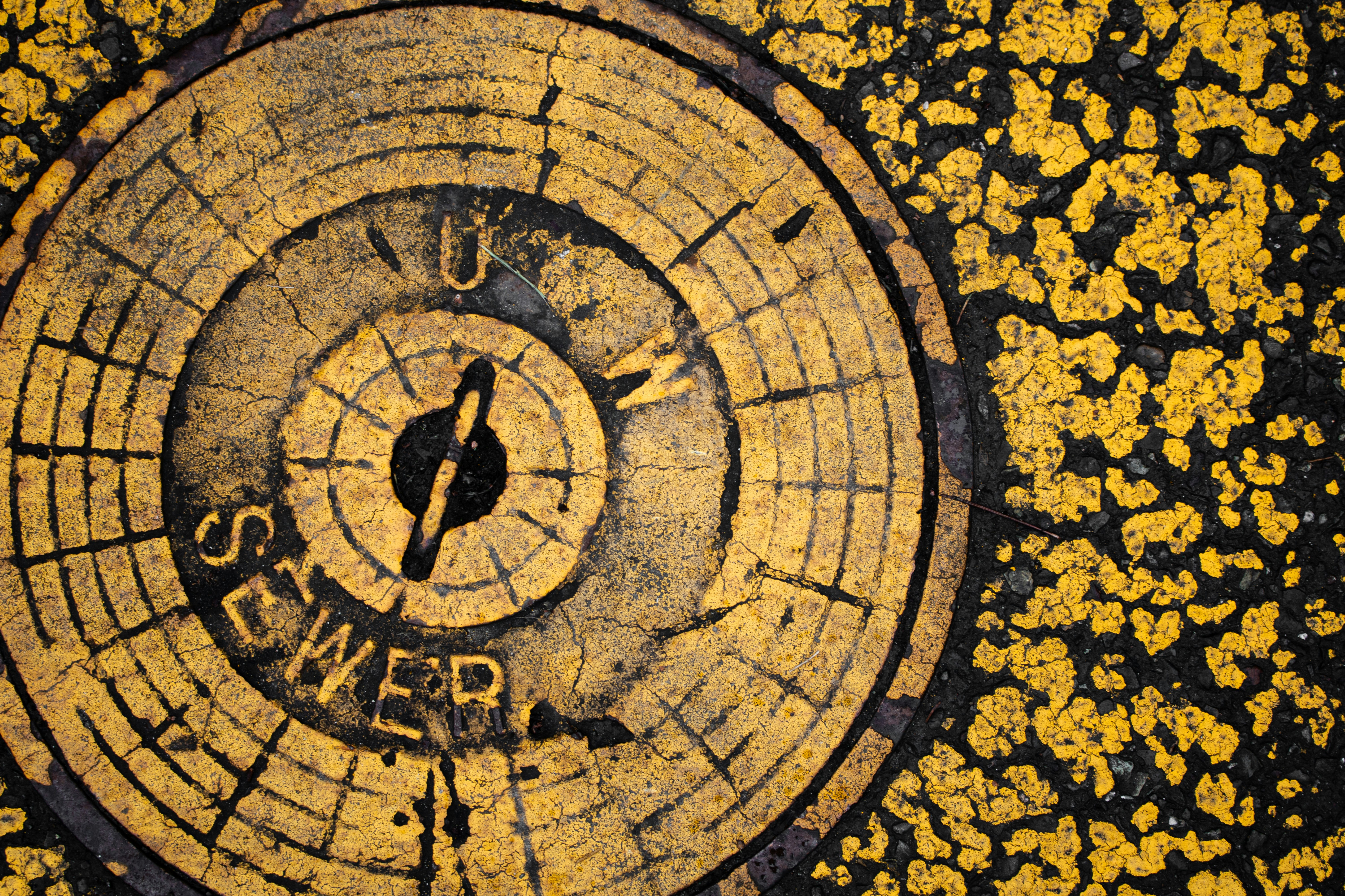 Autumn's Golden Ring: A City Manhole Amid Leaves