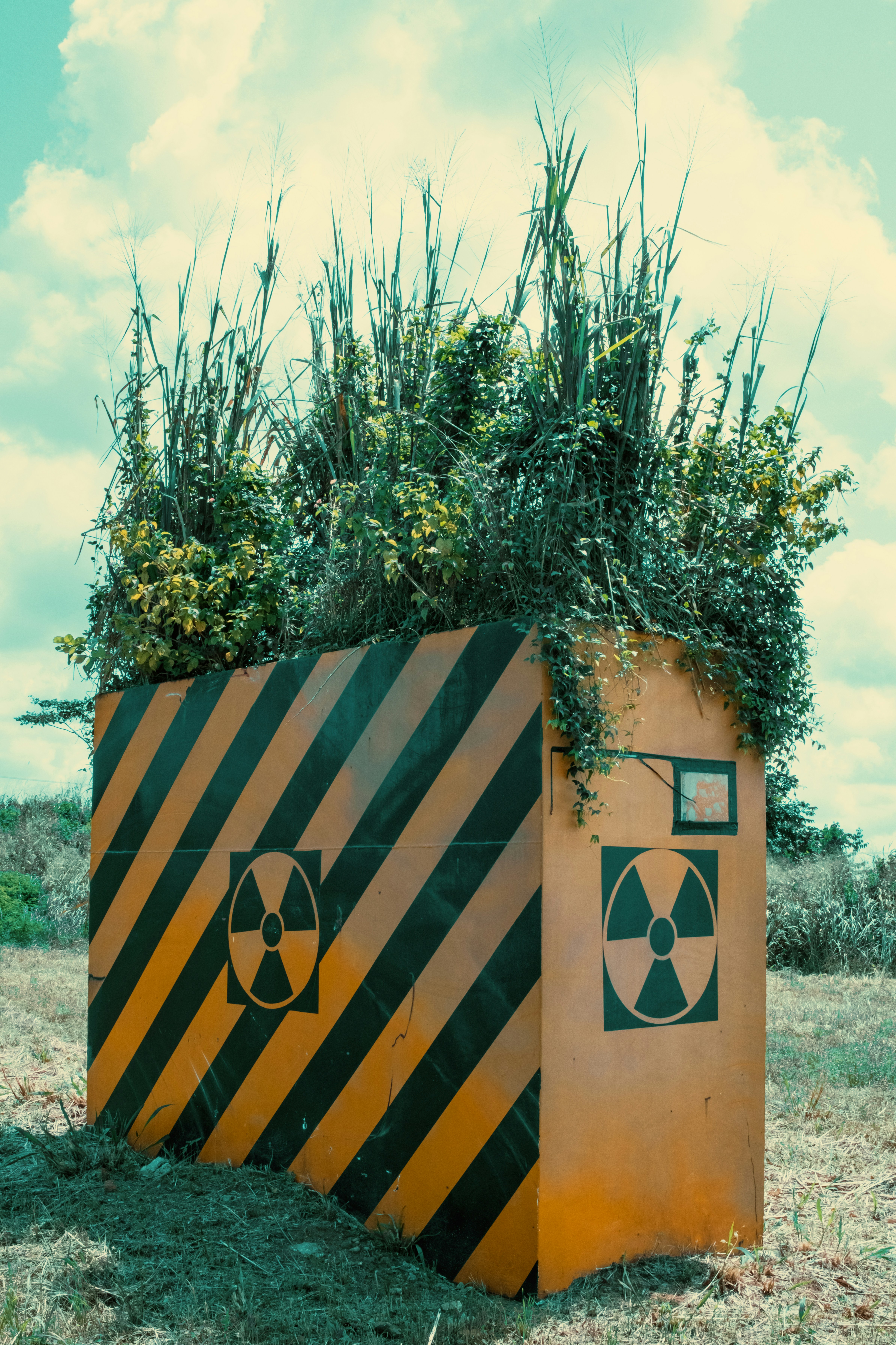 45,628+ Radioactive Pictures | Download Free Images on Unsplash