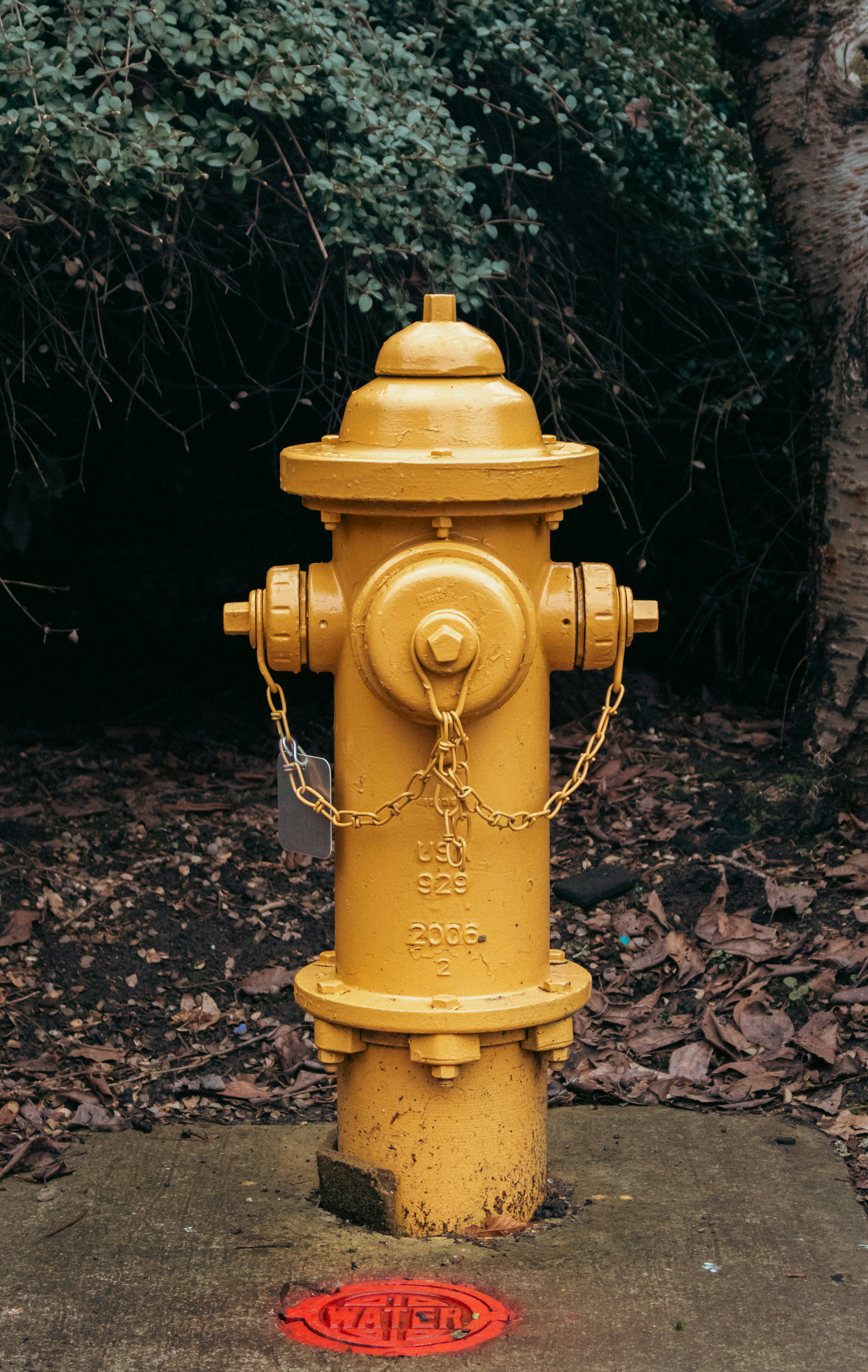 Photo by Zoshua Colah with Canon EOS 750D