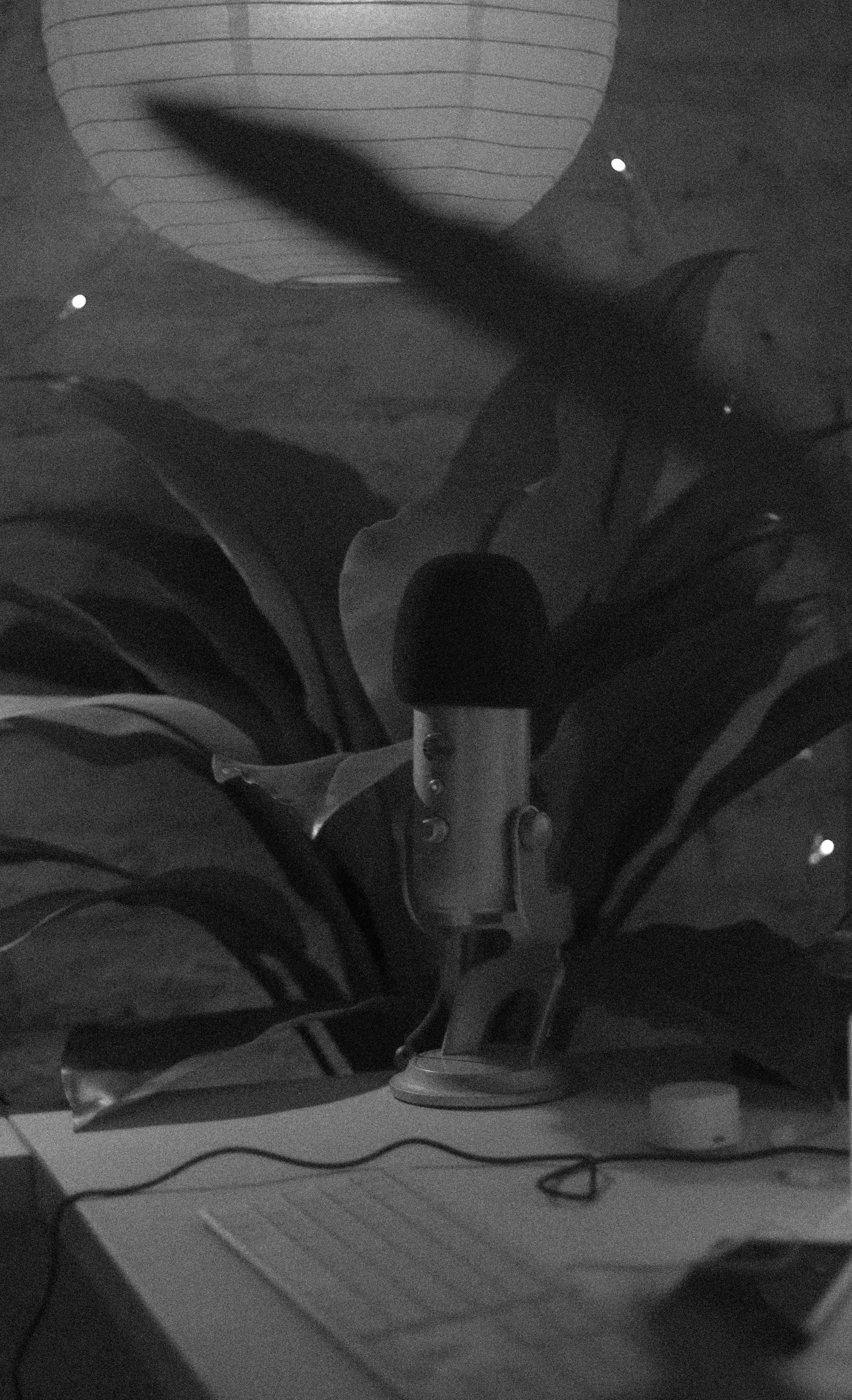 Midnight Microphone Under a Lantern: A Quiet Desk Studio Framed by Leaves