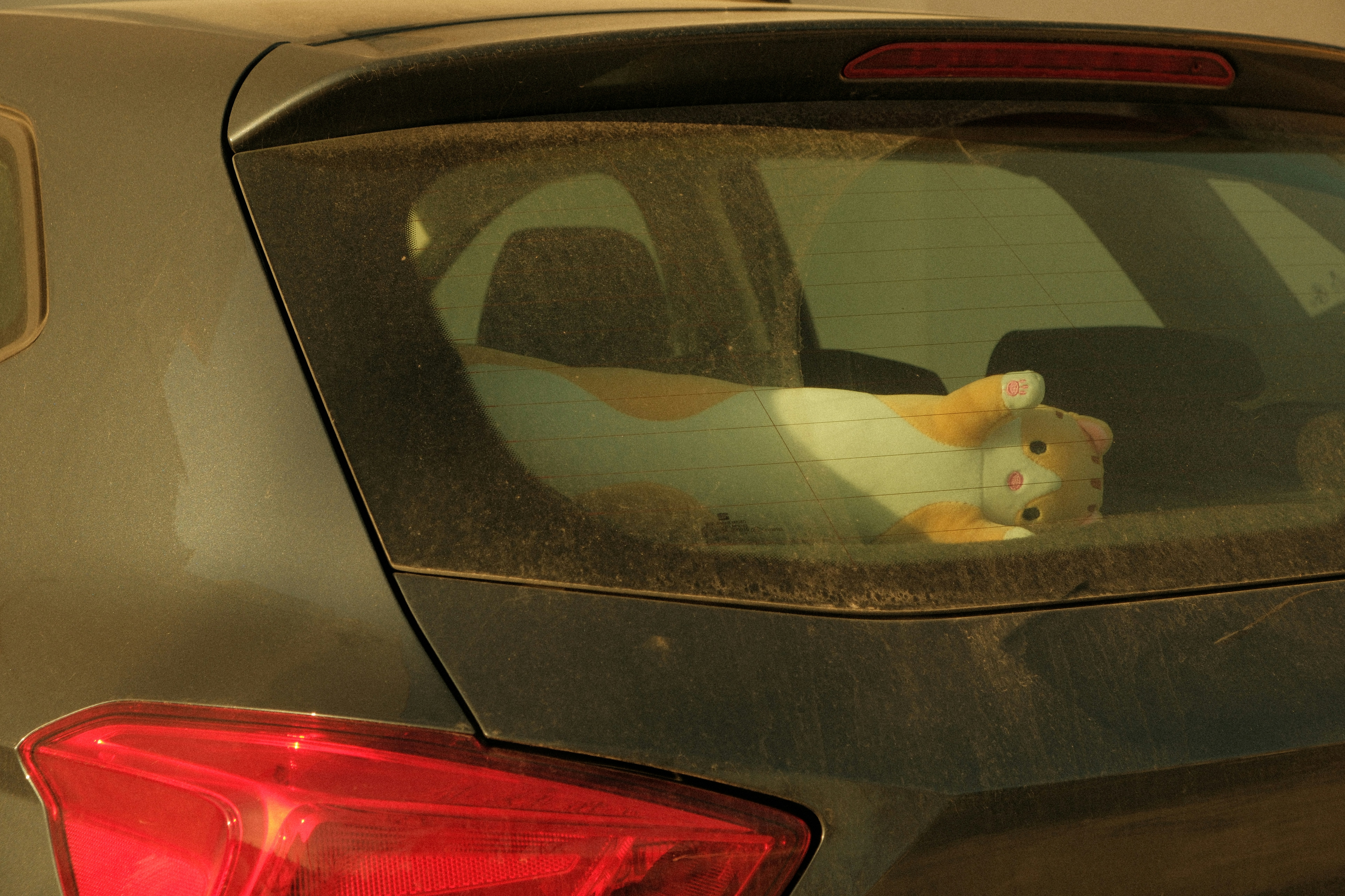 Rear-Window Quiet: A Yellow Plush Resting in a Dusty Hatchback