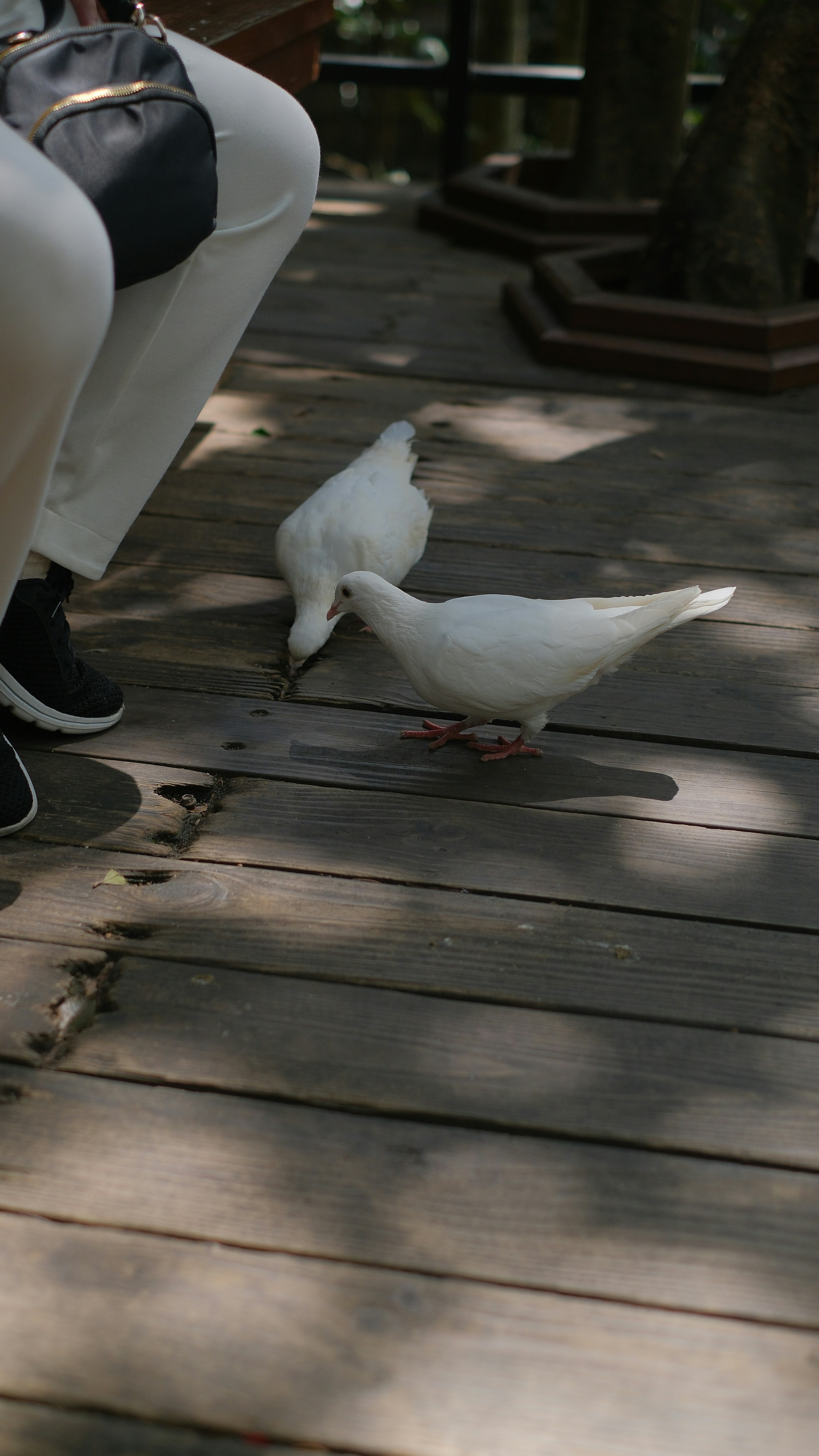 Photo by Anna Volkova with Fujifilm X-S20